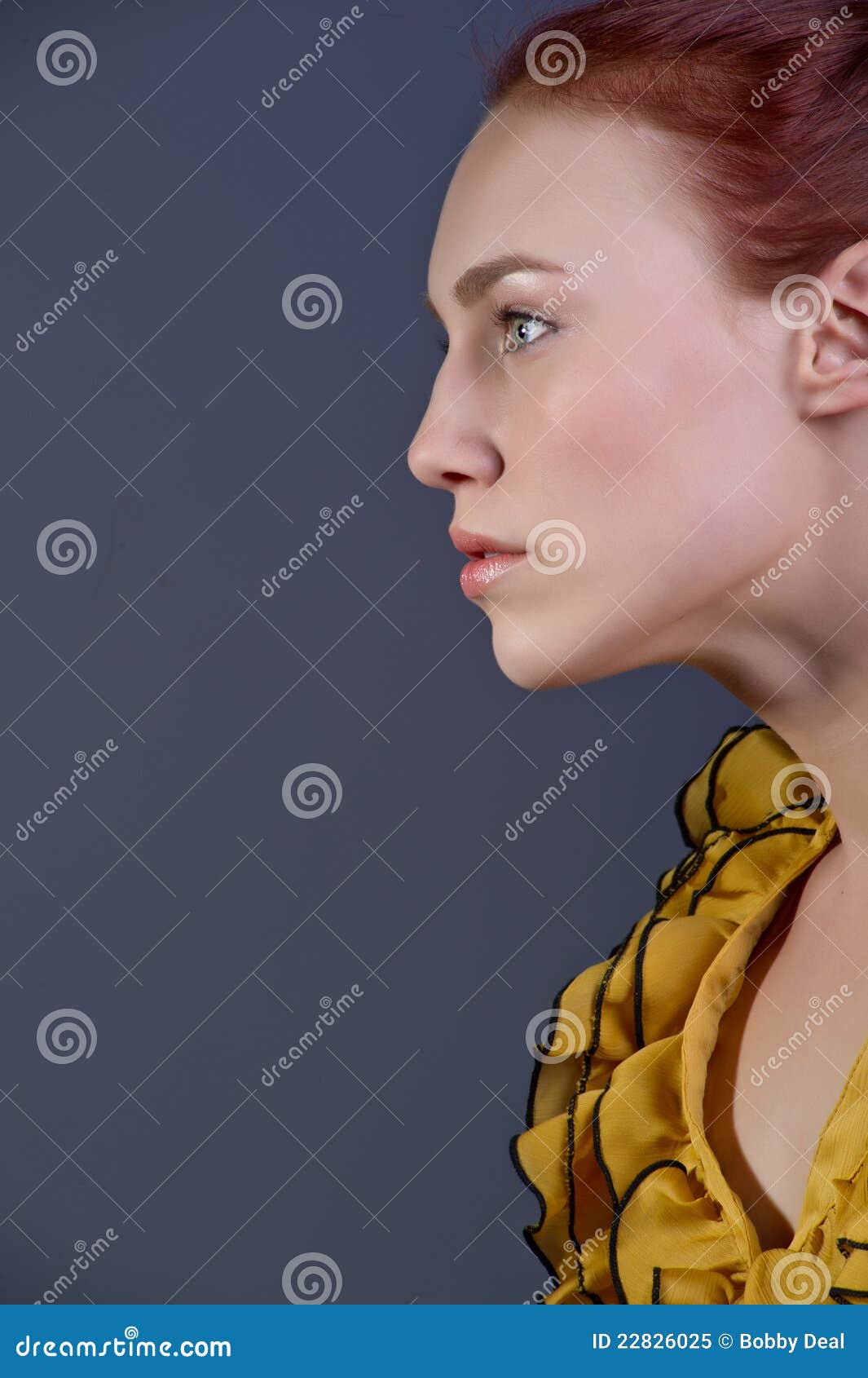 Elegant Rood Hoofd stock afbeelding. Image of haar, meisje - 22826025