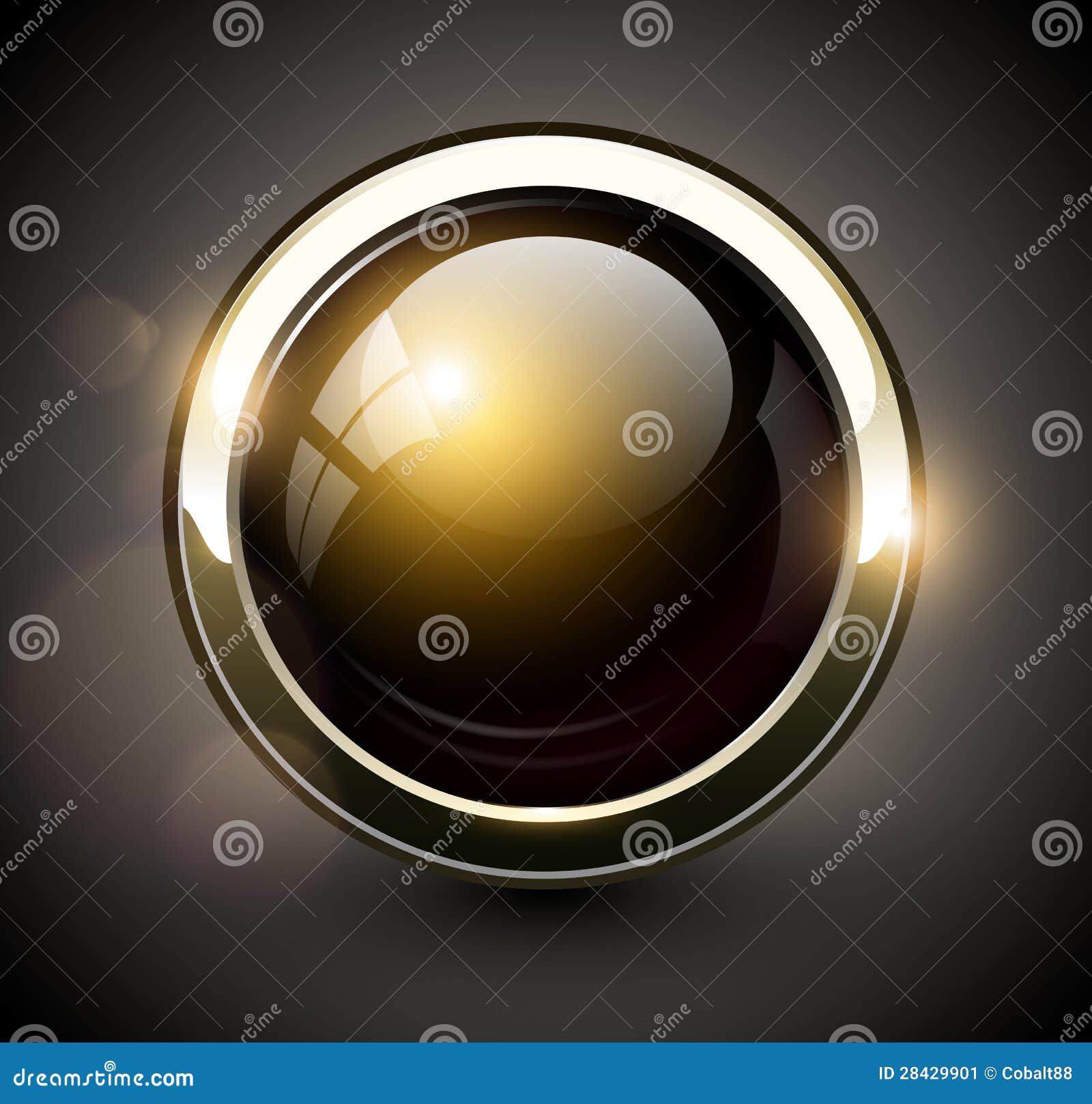 Elegant shiny button stock vector. Illustration of circle - 28429901