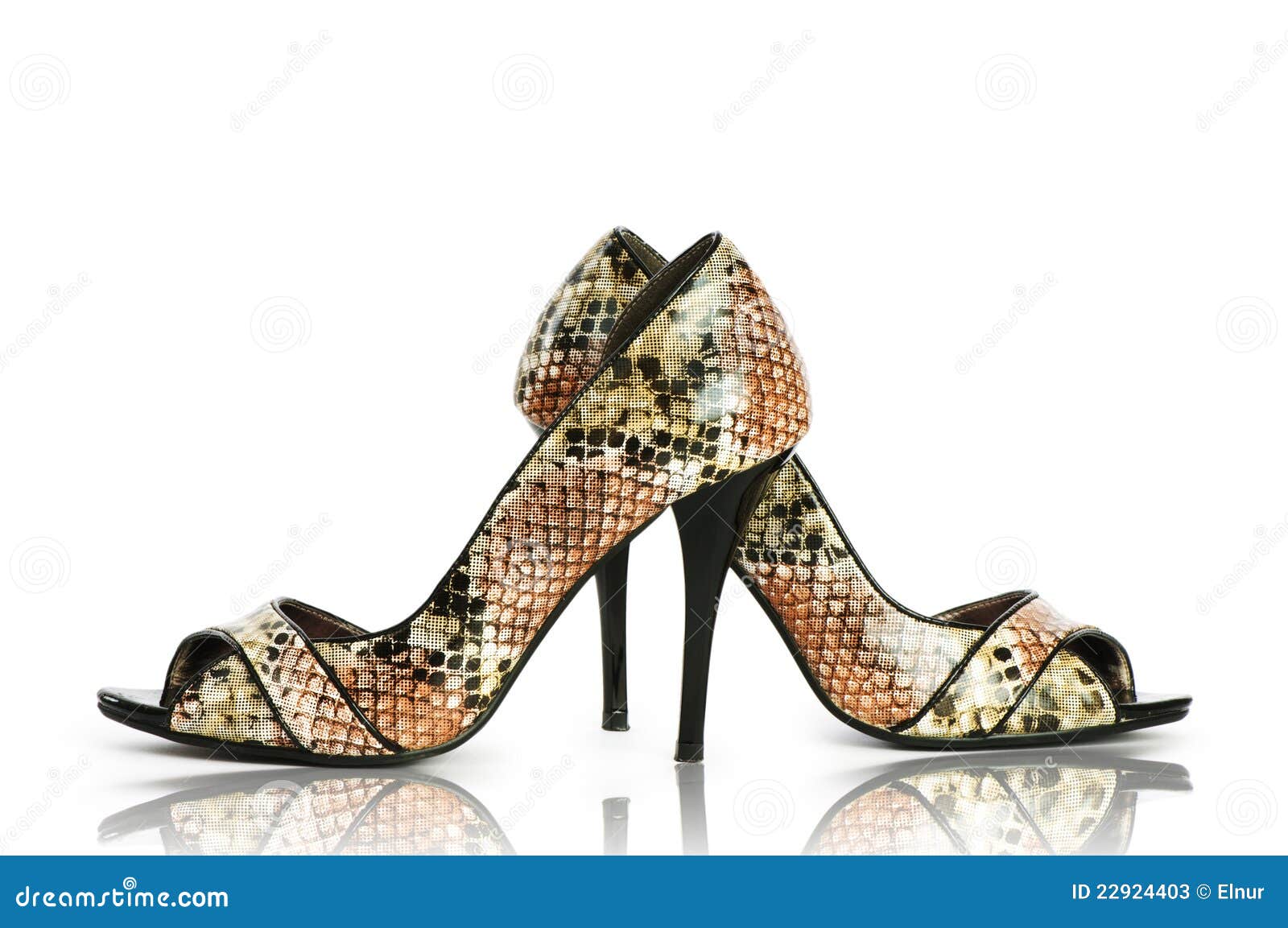 Elegant shoes stock image. Image of heels, shoes, sandals - 22924403