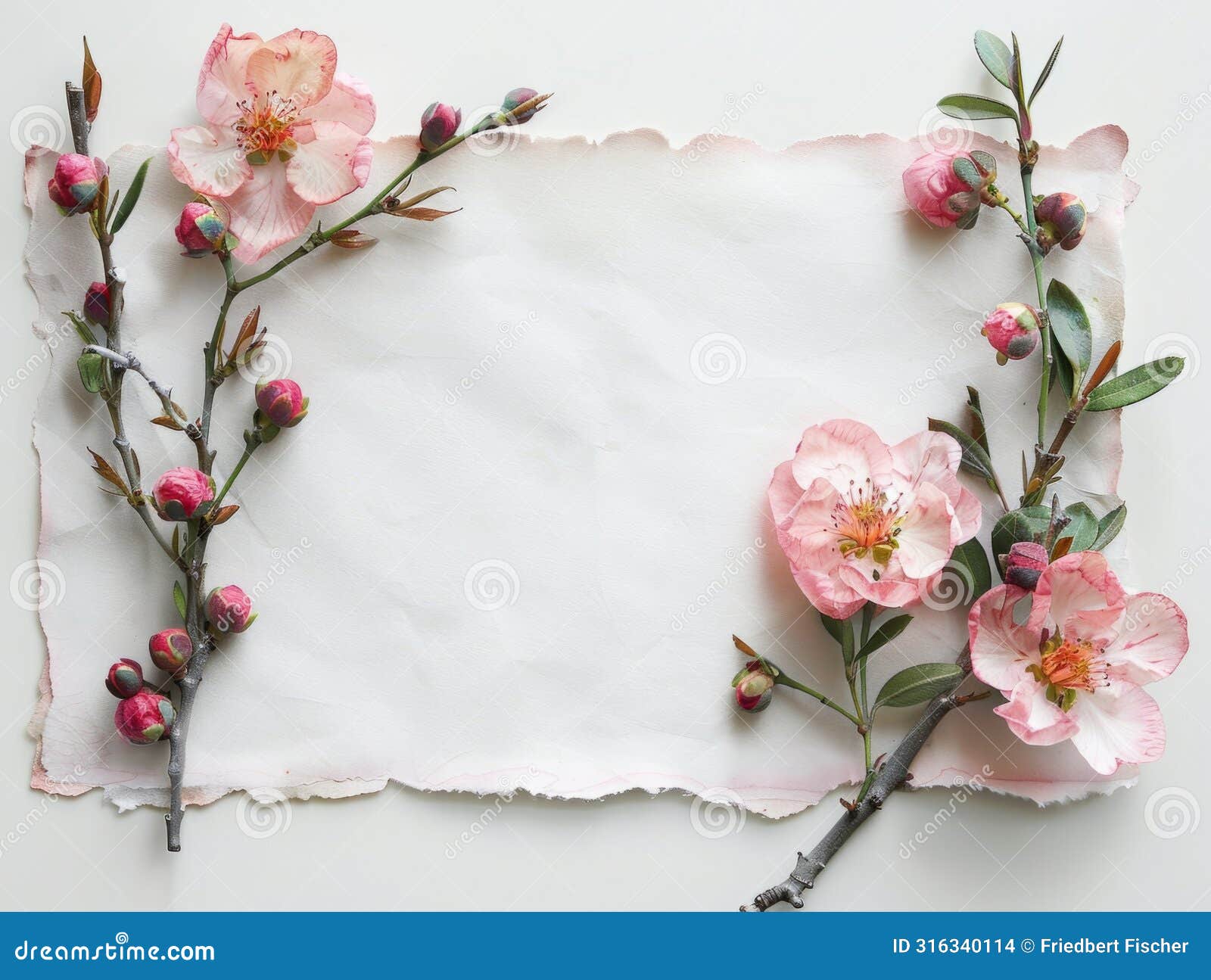 Elegant Spring Floral Border with Blank Paper for Invitation Stock ...