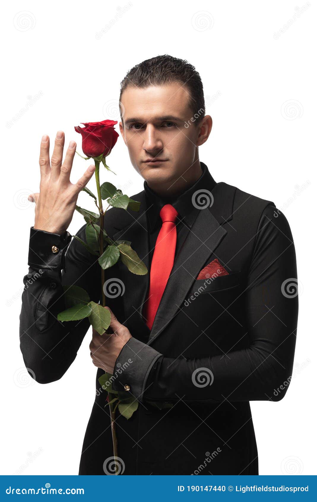 Elegant Tango Dancer Holding Black Rose and Looking at Camera Isolated ...