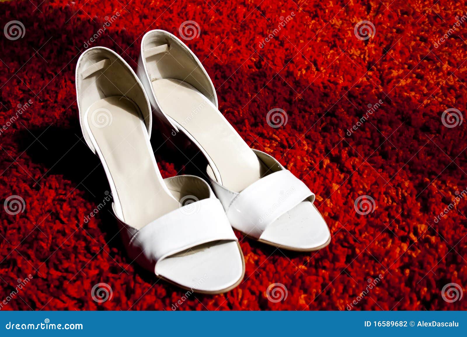 Elegant white shoes stock photo. Image of stylish, women - 16589682