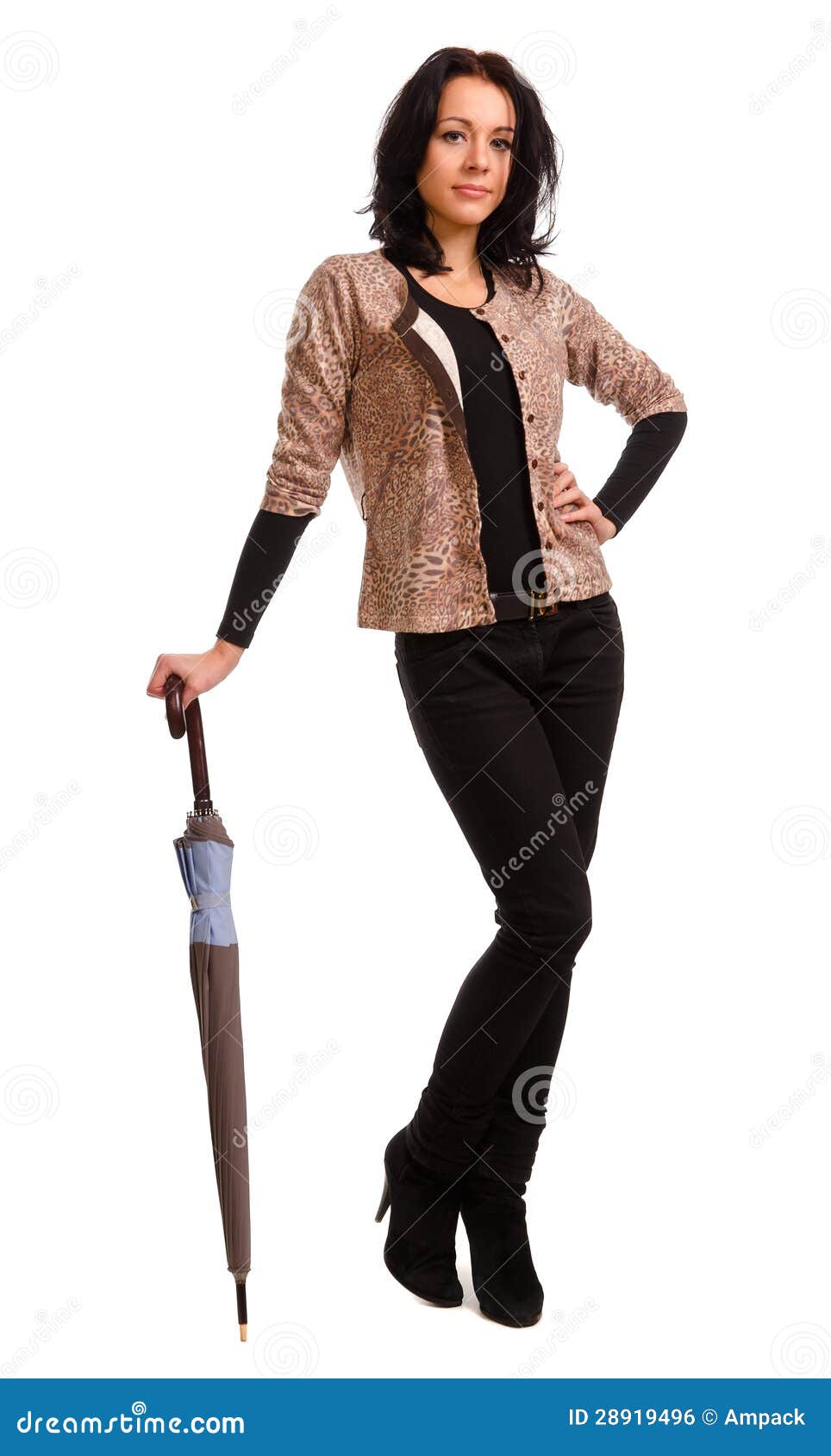 Elegant woman posing stock photo. Image of elegance, portrait - 28919496