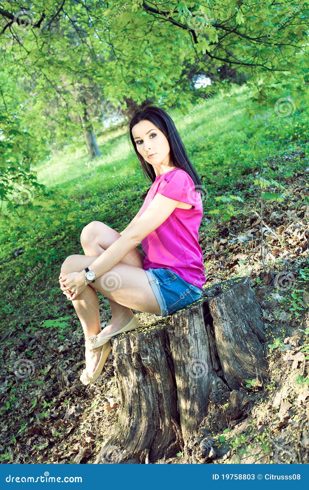 Elegant Woman Sitting on a Stump Stock Image - Image of activity ...