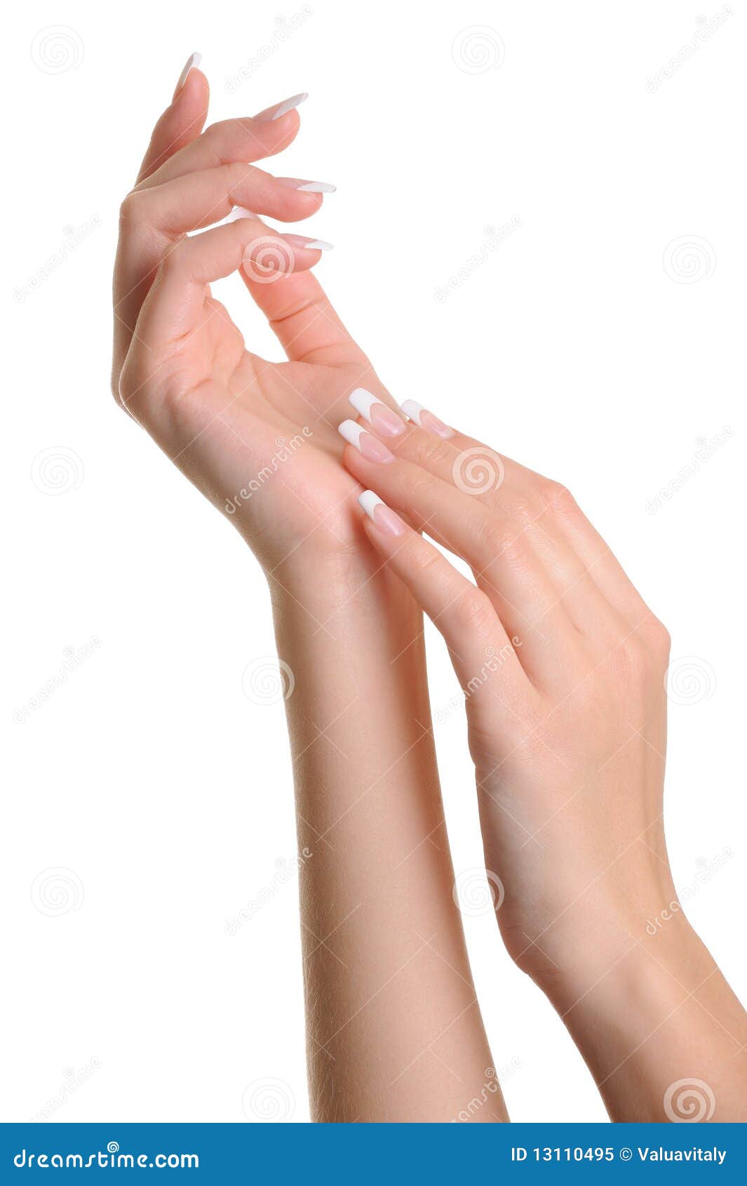 Elegant women hands stock image. Image of hand, natural - 13110495