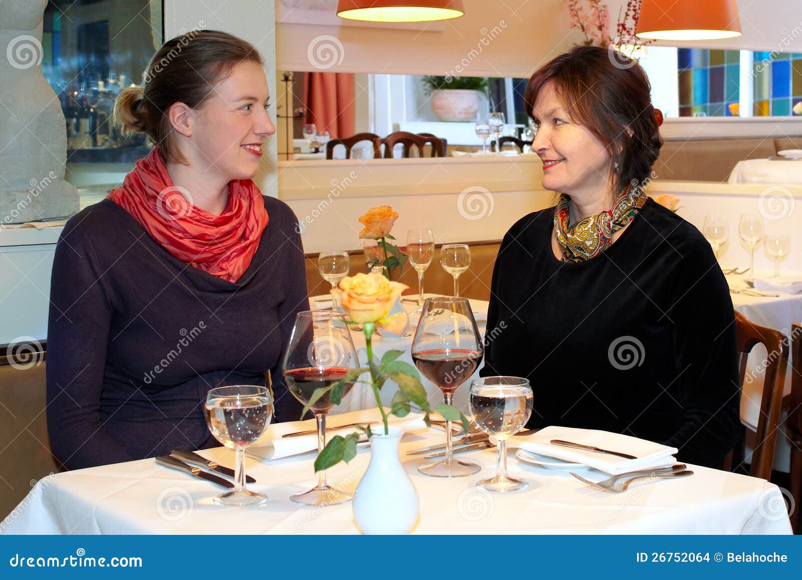 Elegant Women on Night Out stock photo. Image of dinner - 26752064