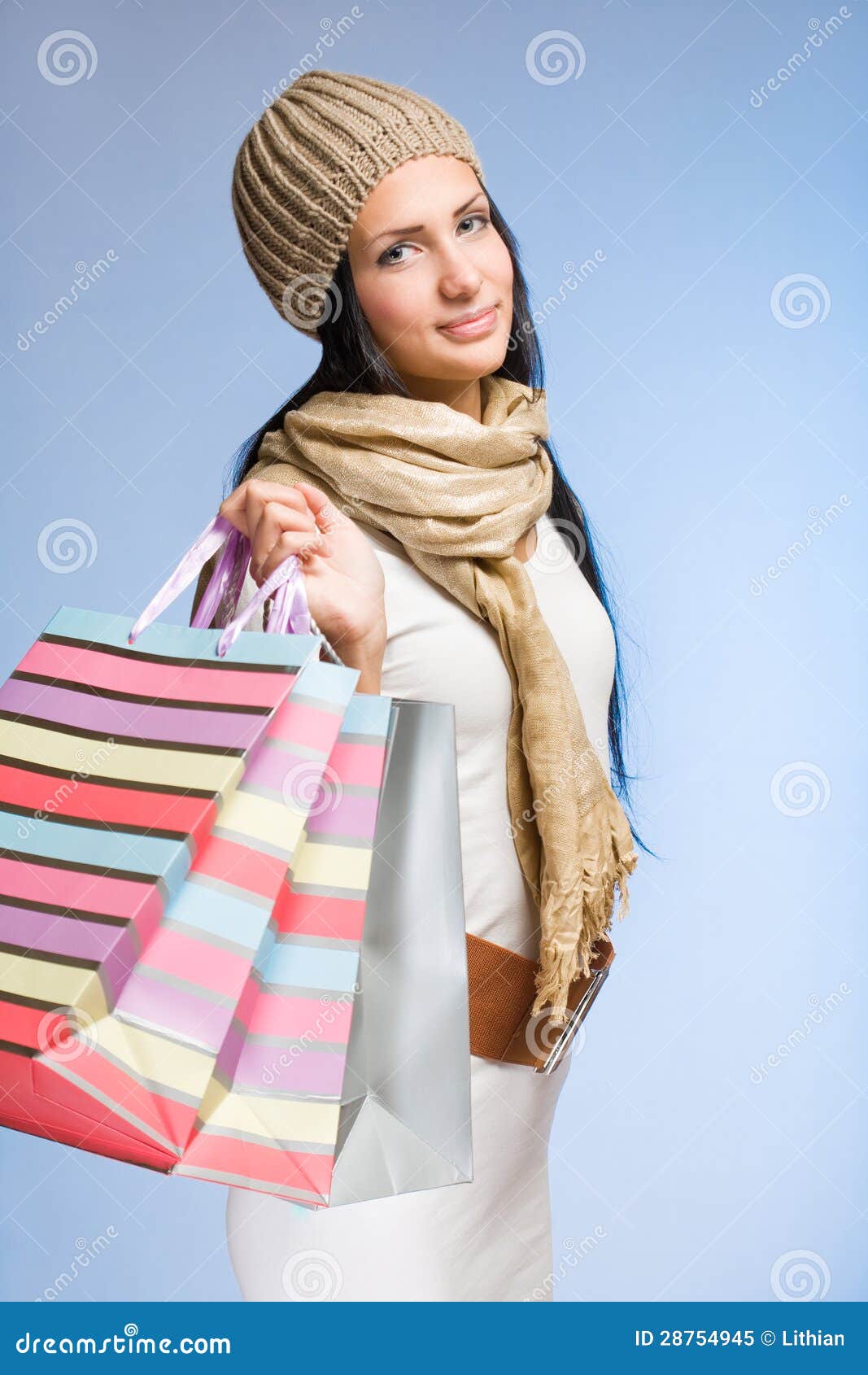 Elegant Young Woman Shopper. Stock Image - Image of portrait, camera ...