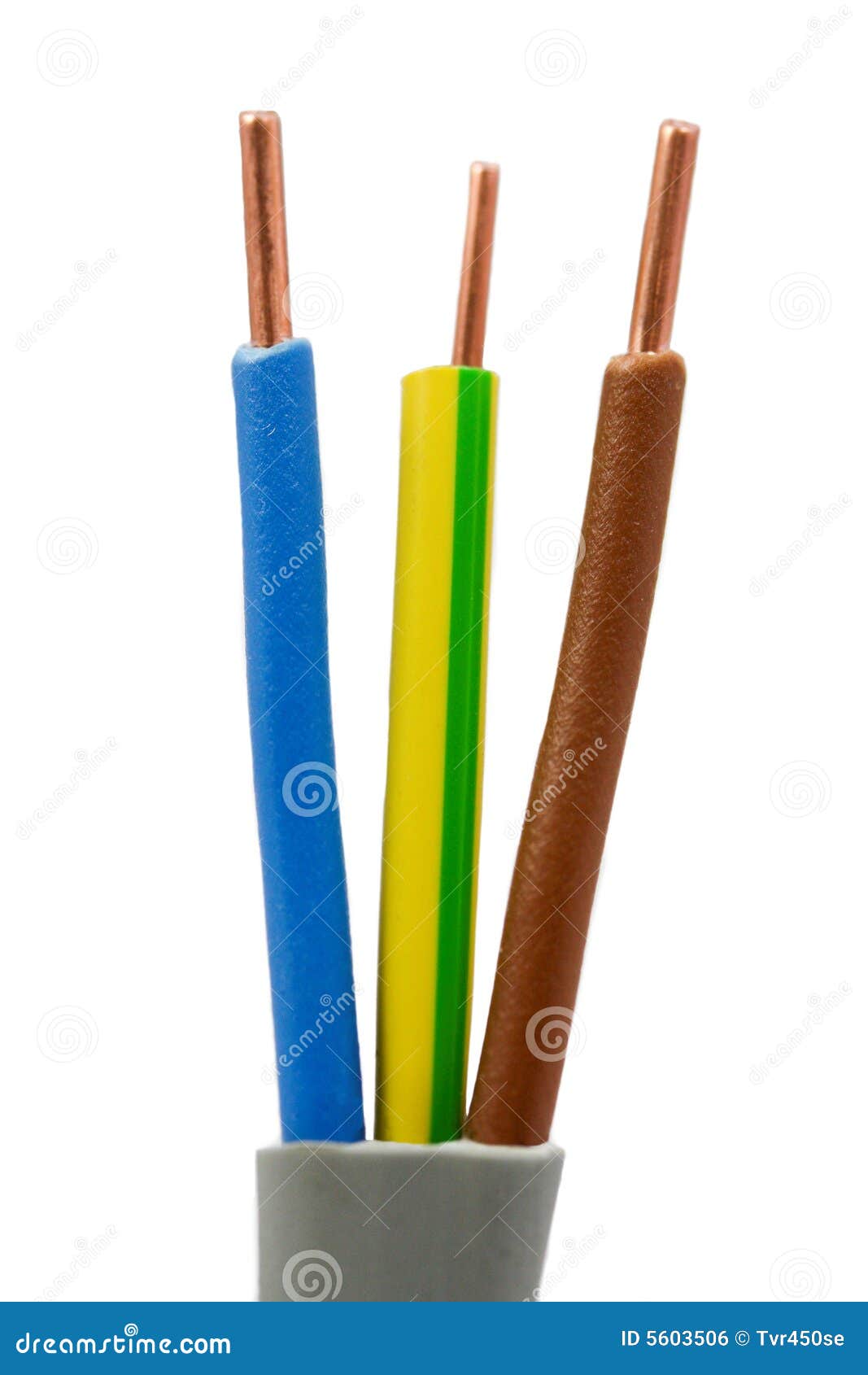 Elektro draadkabel stock foto. Image of energie, horizontaal - 5603506