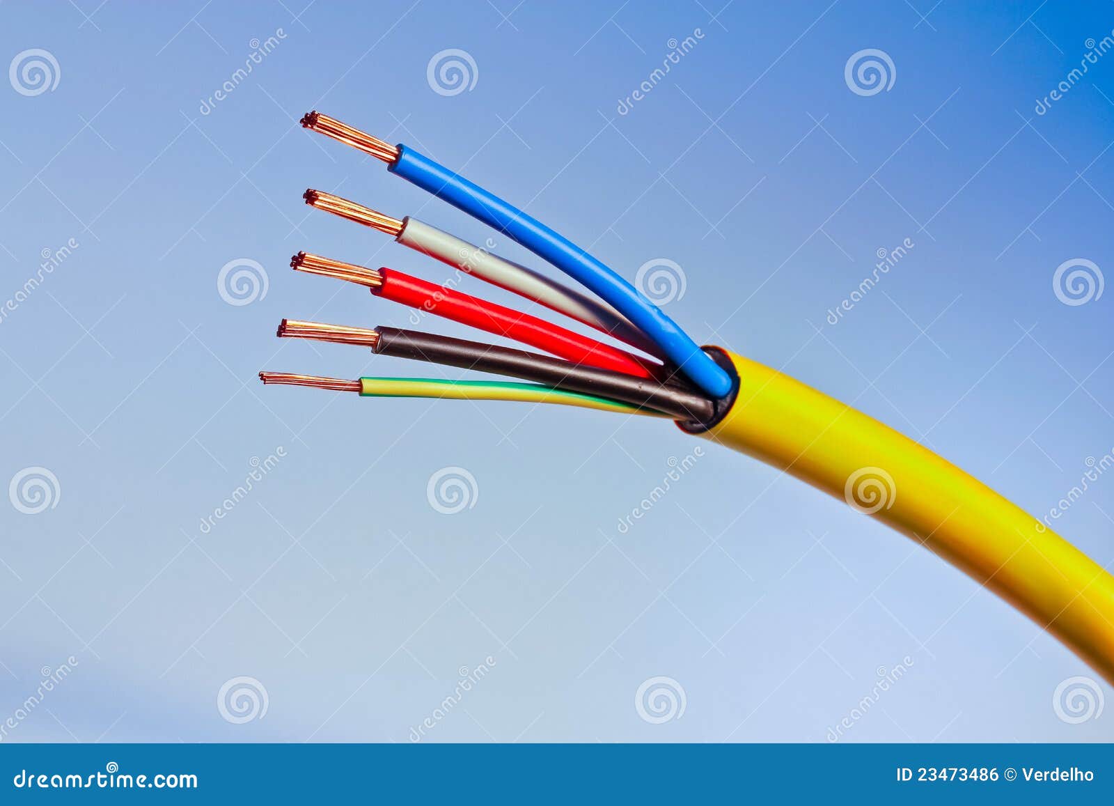 Elektro Kabel Met Getoonde Koperleiders Stock Foto - Image of ...