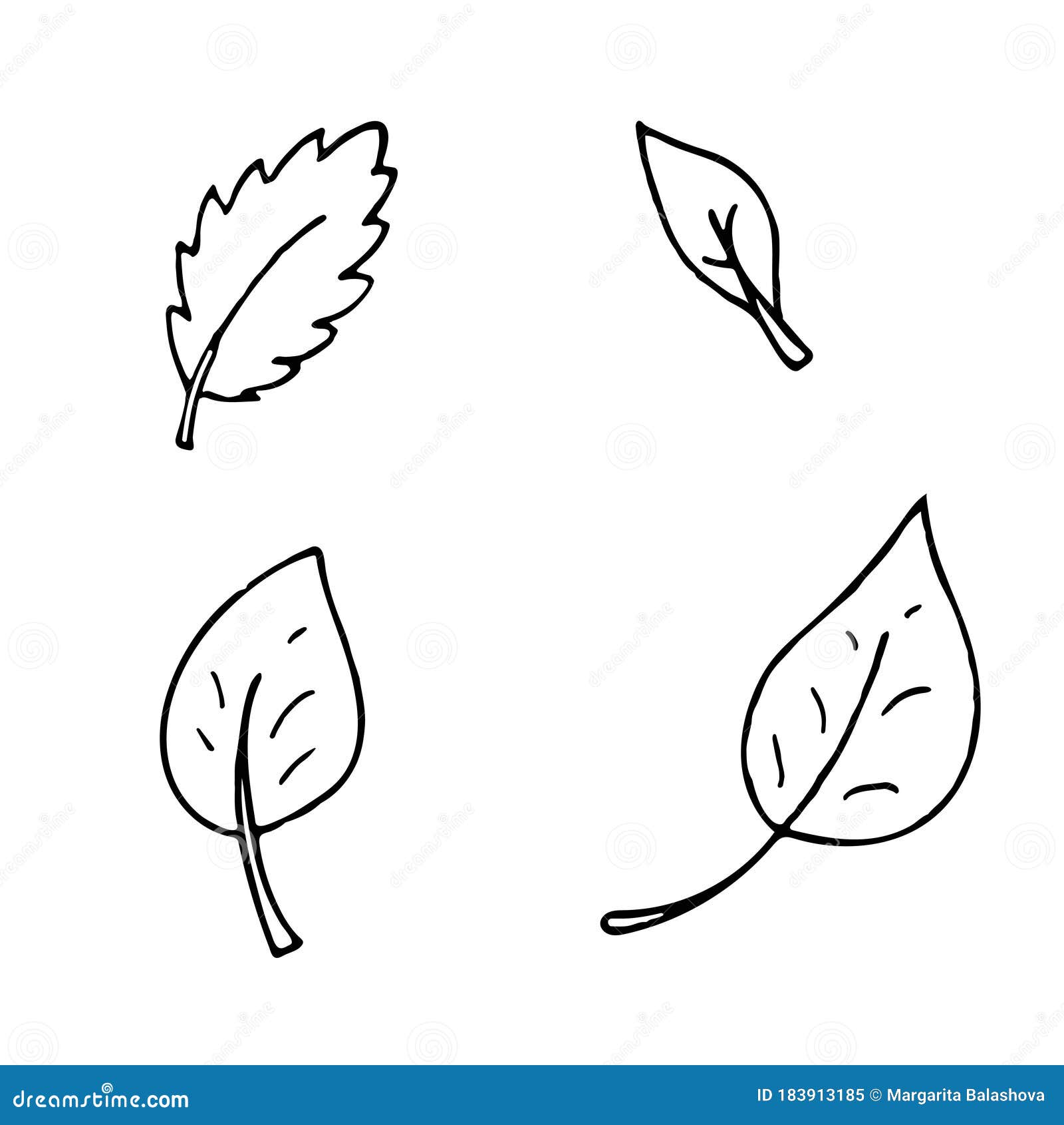 Element without Background, Leaves from a Tree, Hand-drawn Vector ...