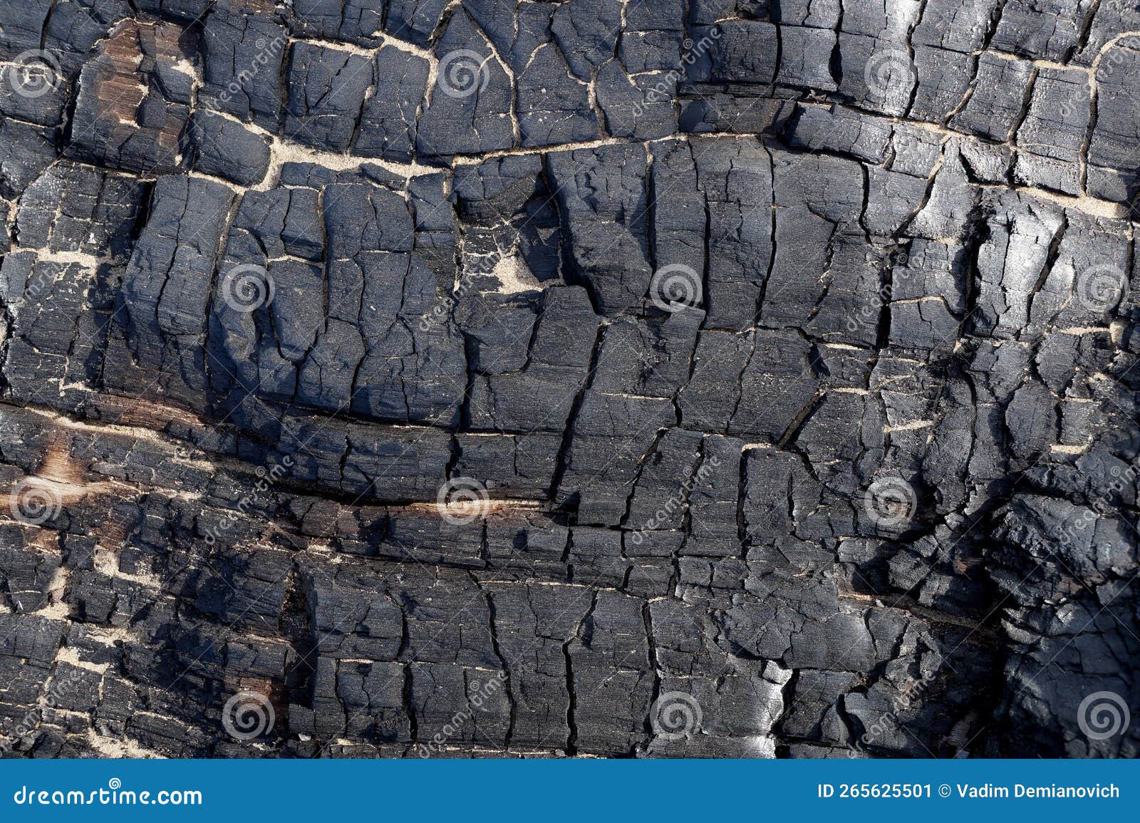 Element of the Burned-down Tree Stock Image - Image of black ...