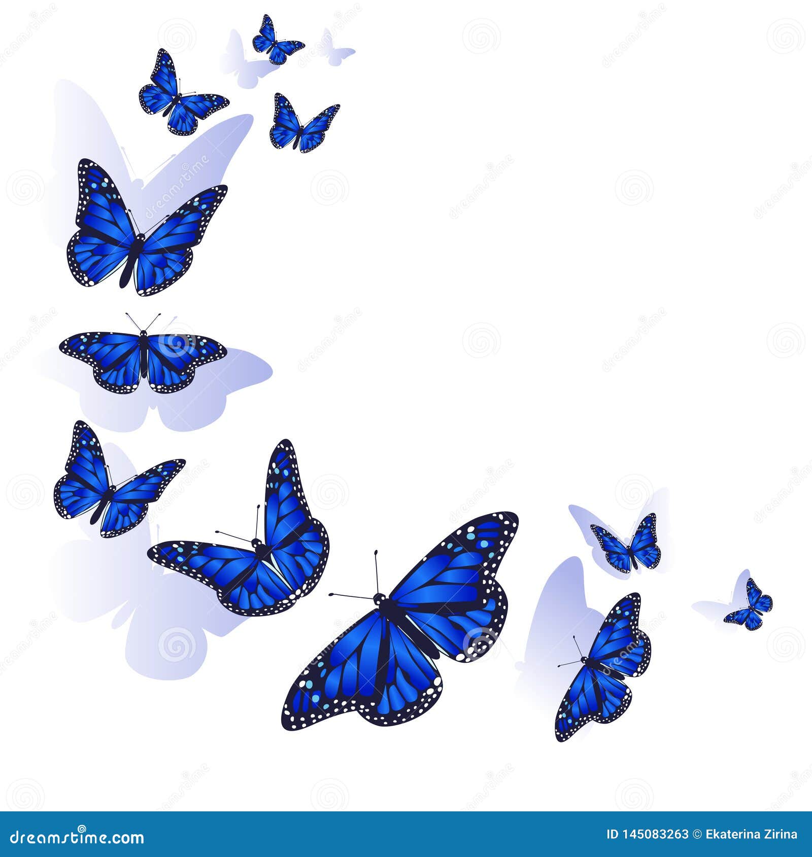 Element of Design. Frame Made of Butterflies. Blue Butterflies on a ...