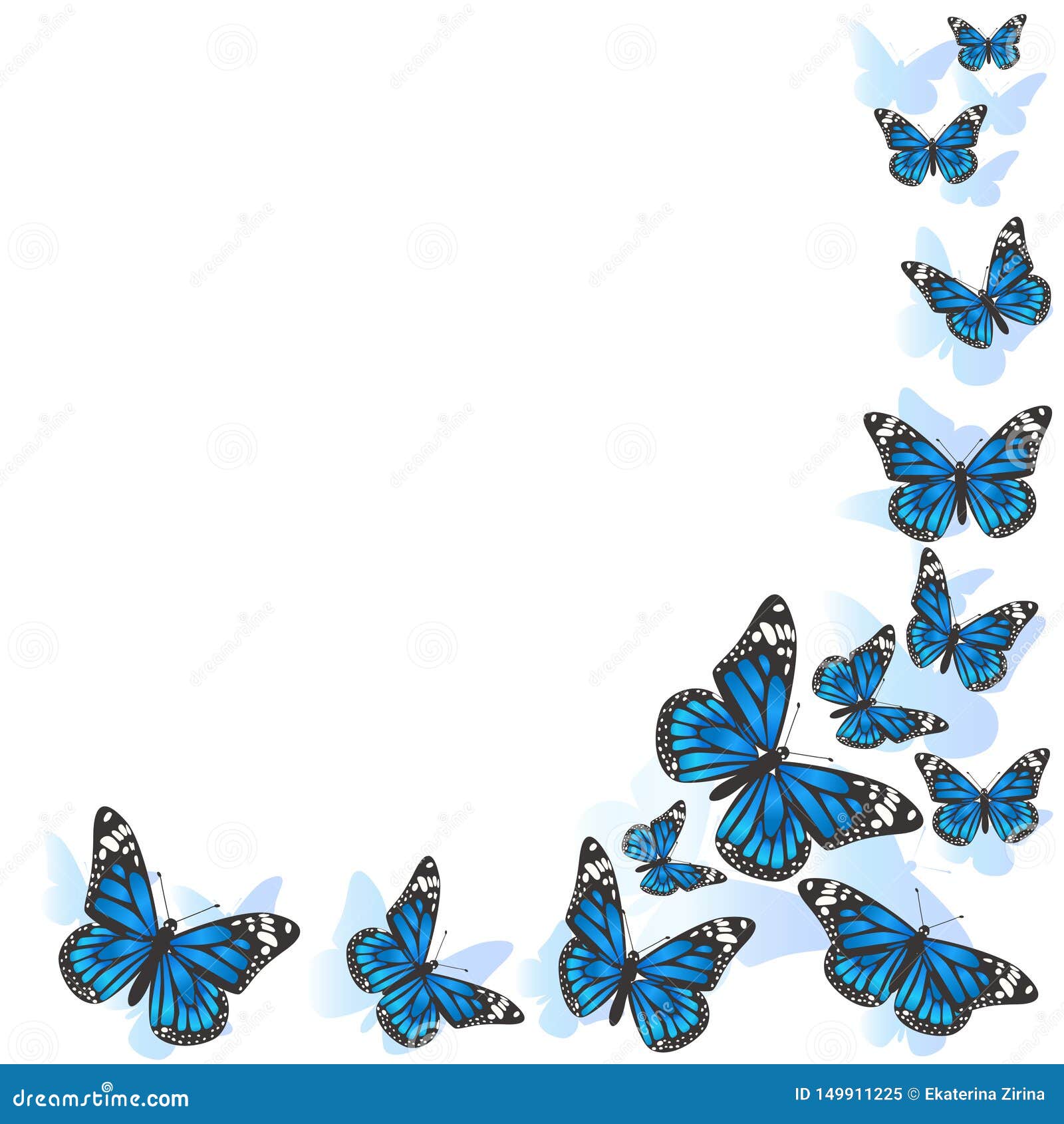 Blue Butterfly Frame