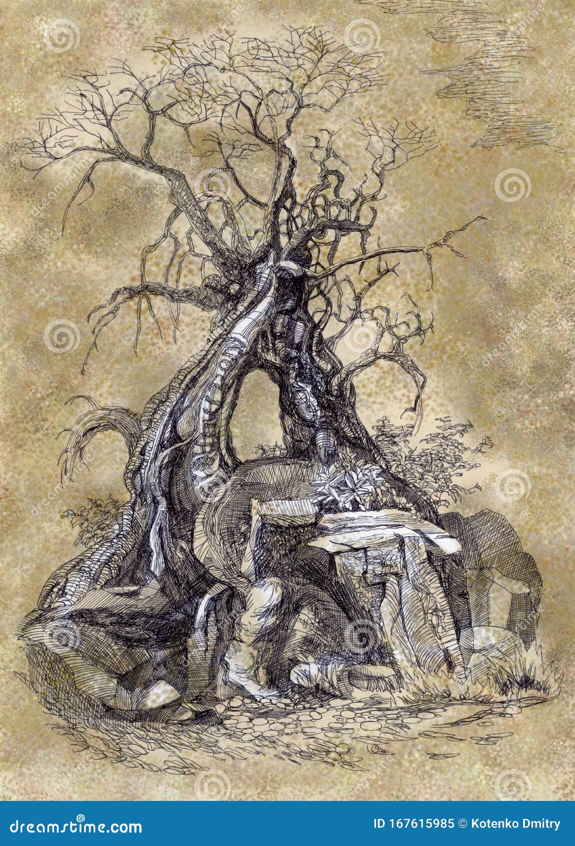 Old Mystical Tree in a Scary Forest. Ink Drawing. Stock Illustration ...