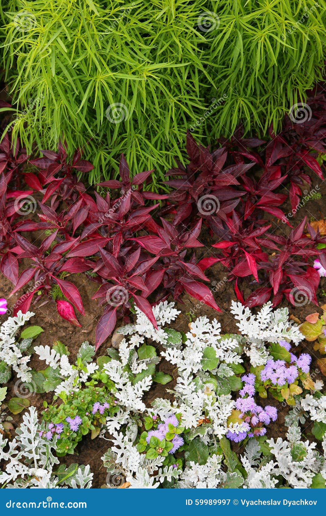 Element of Landscape Design is a Complex Combination Flowerbed Stock ...