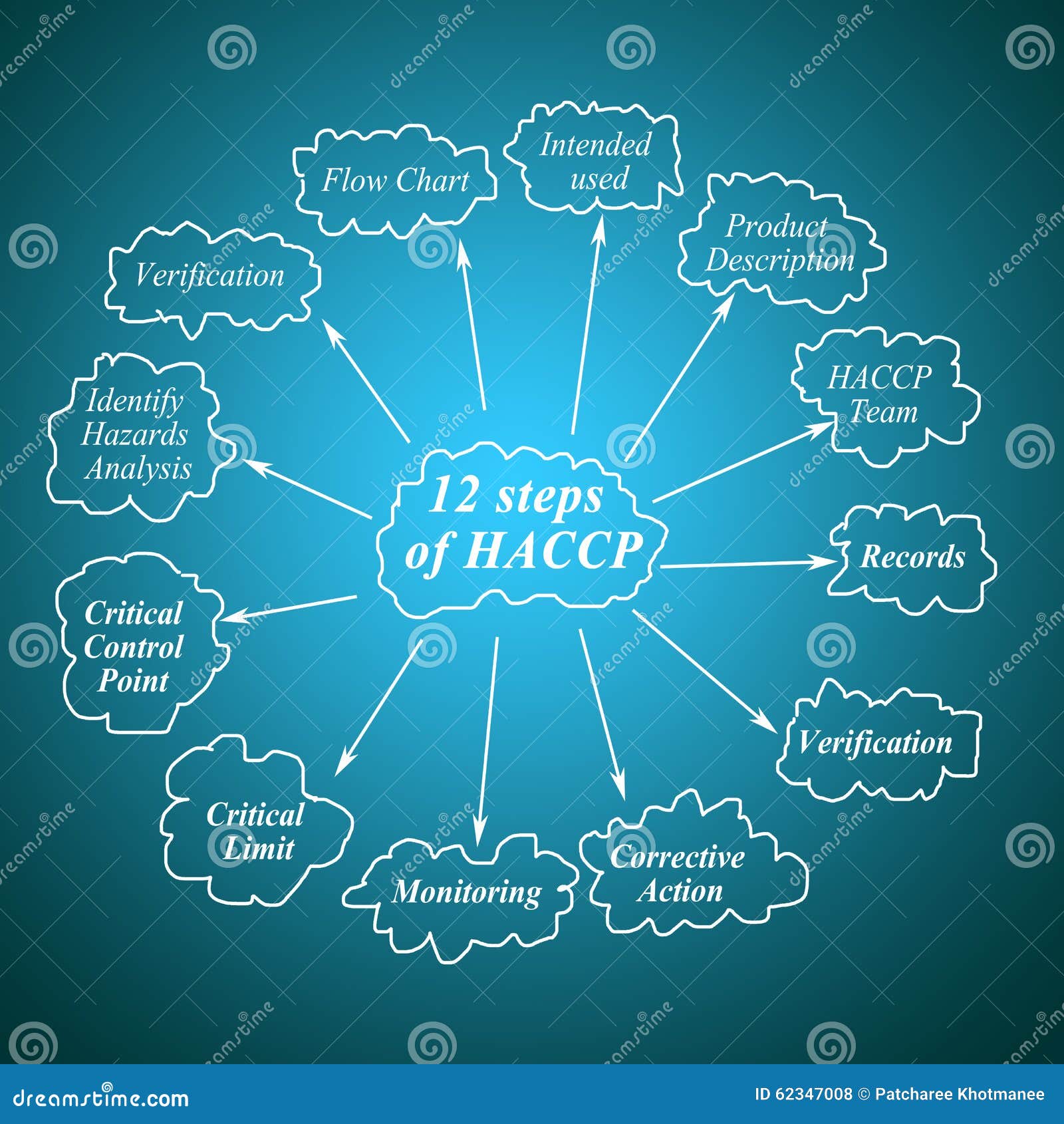 Element of Twelve Step HACCP Principle for Used in Manufacturing. Stock ...