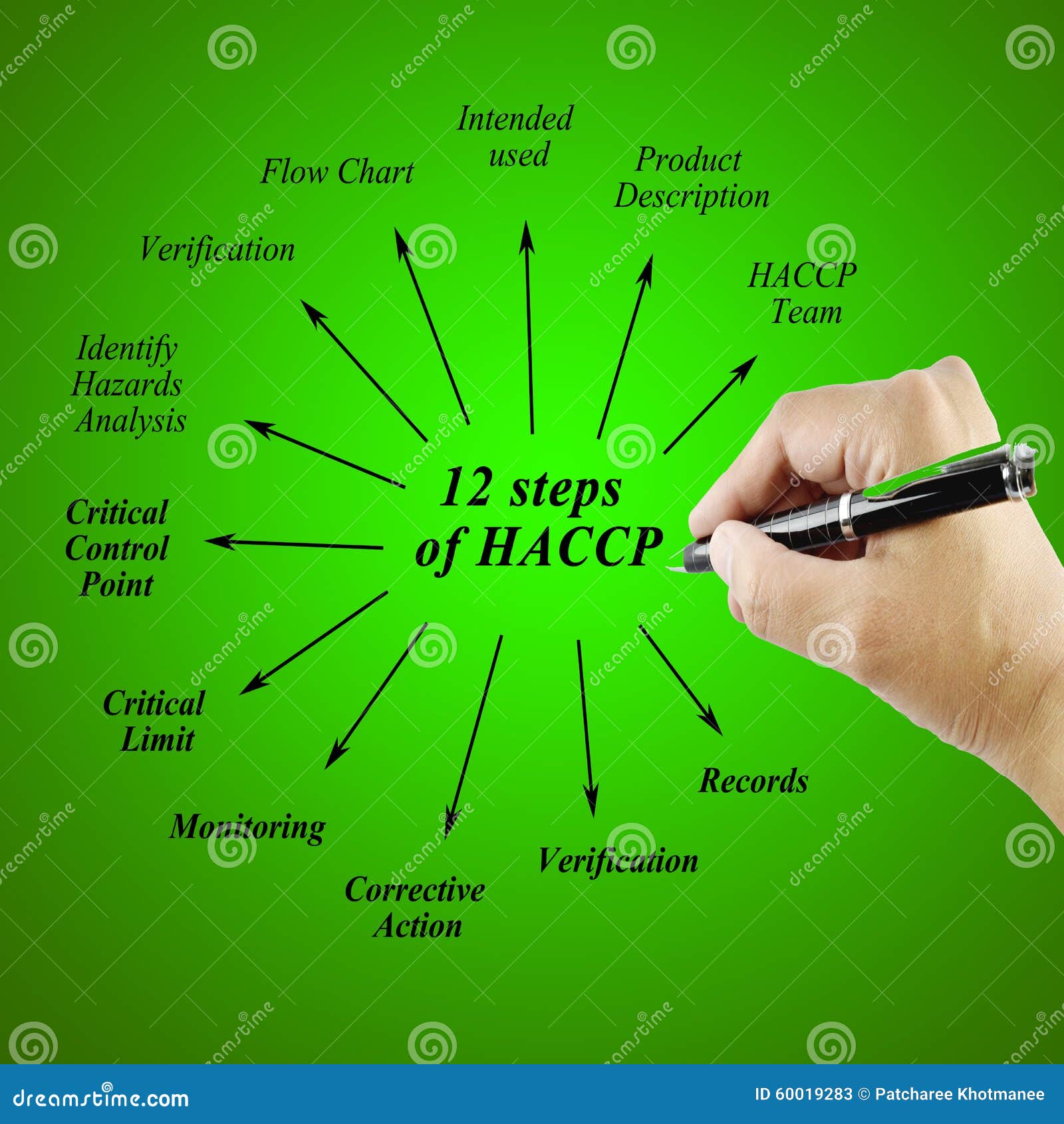 Element of Twelve Step HACCP Principle on White Background for Used in ...