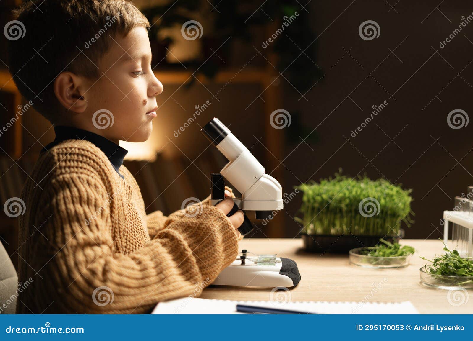Elementary School Boy Looking into Microscope at His Desk at Home in ...