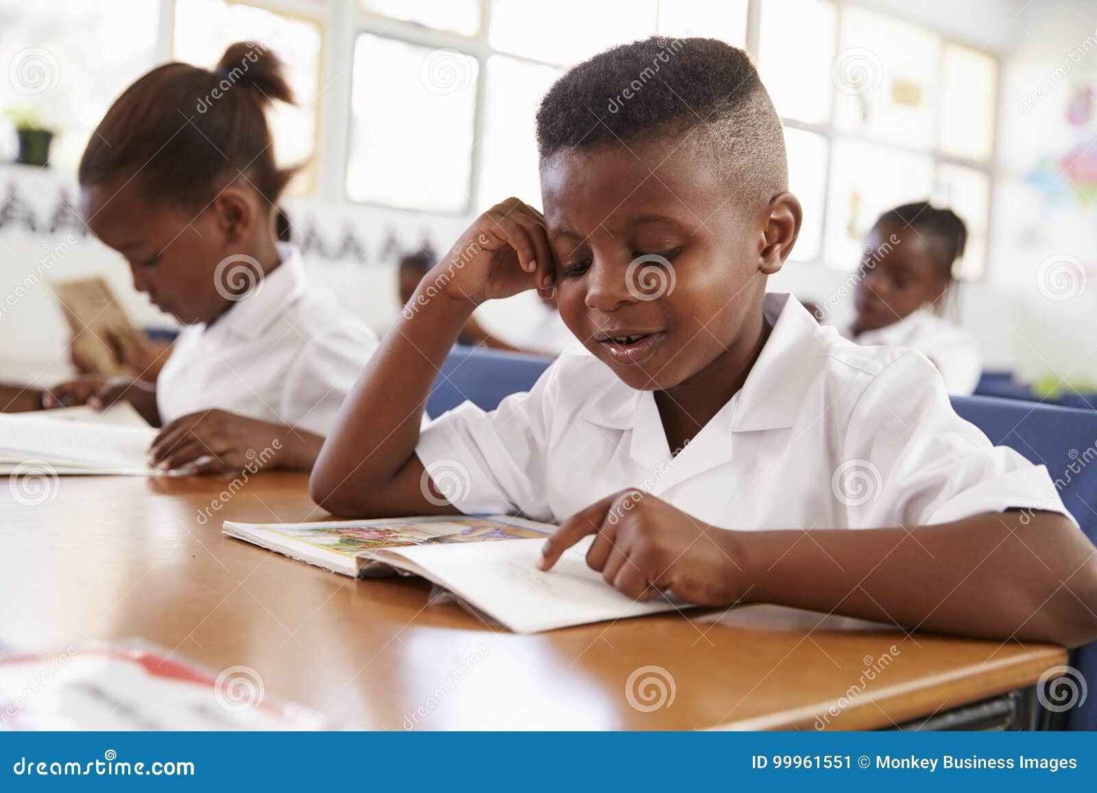 Elementary School Boy Reading a Book at His Desk in Class Stock Image ...