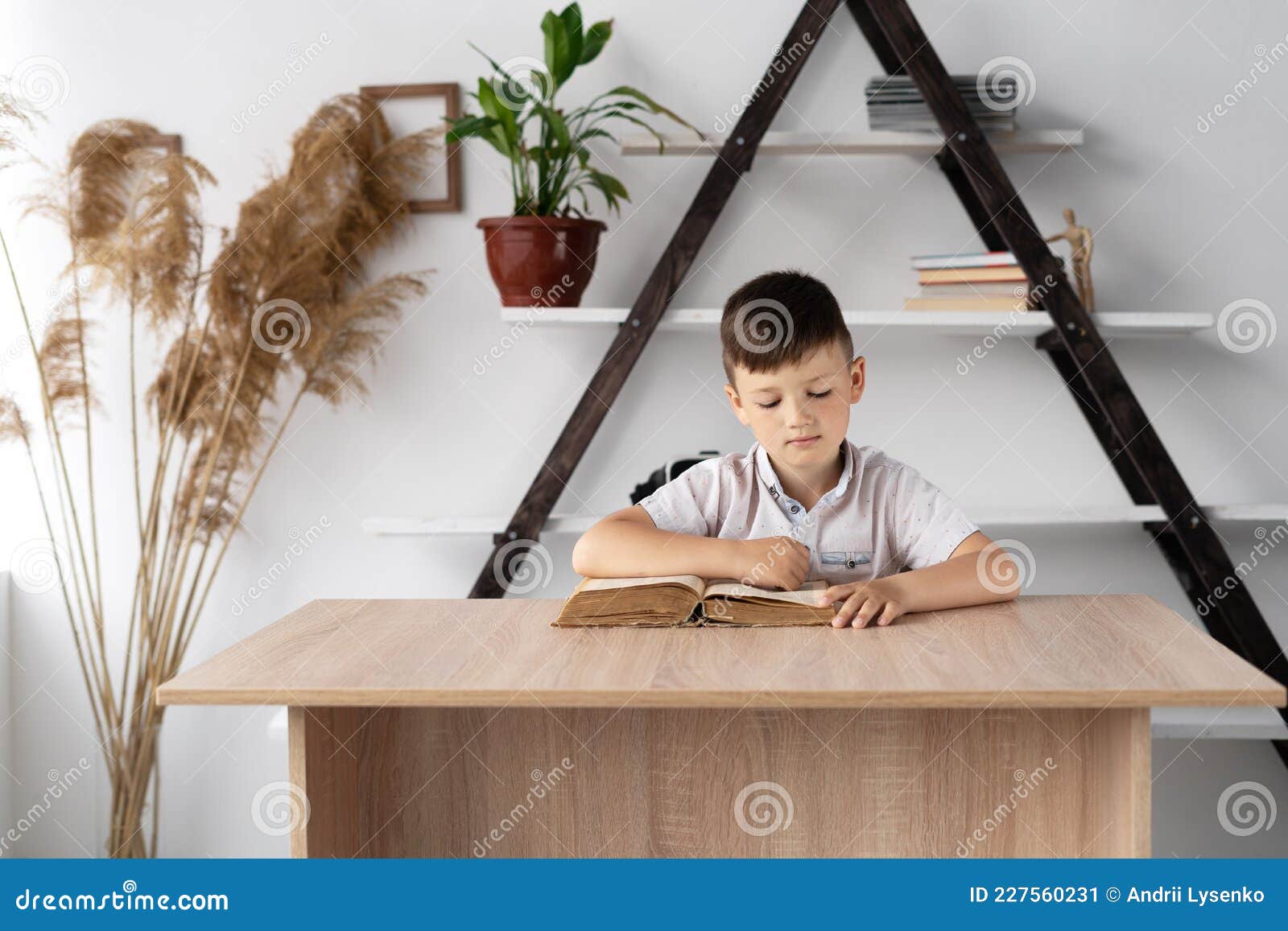 Elementary School Student Reading a Book or Textbook Sitting in the ...