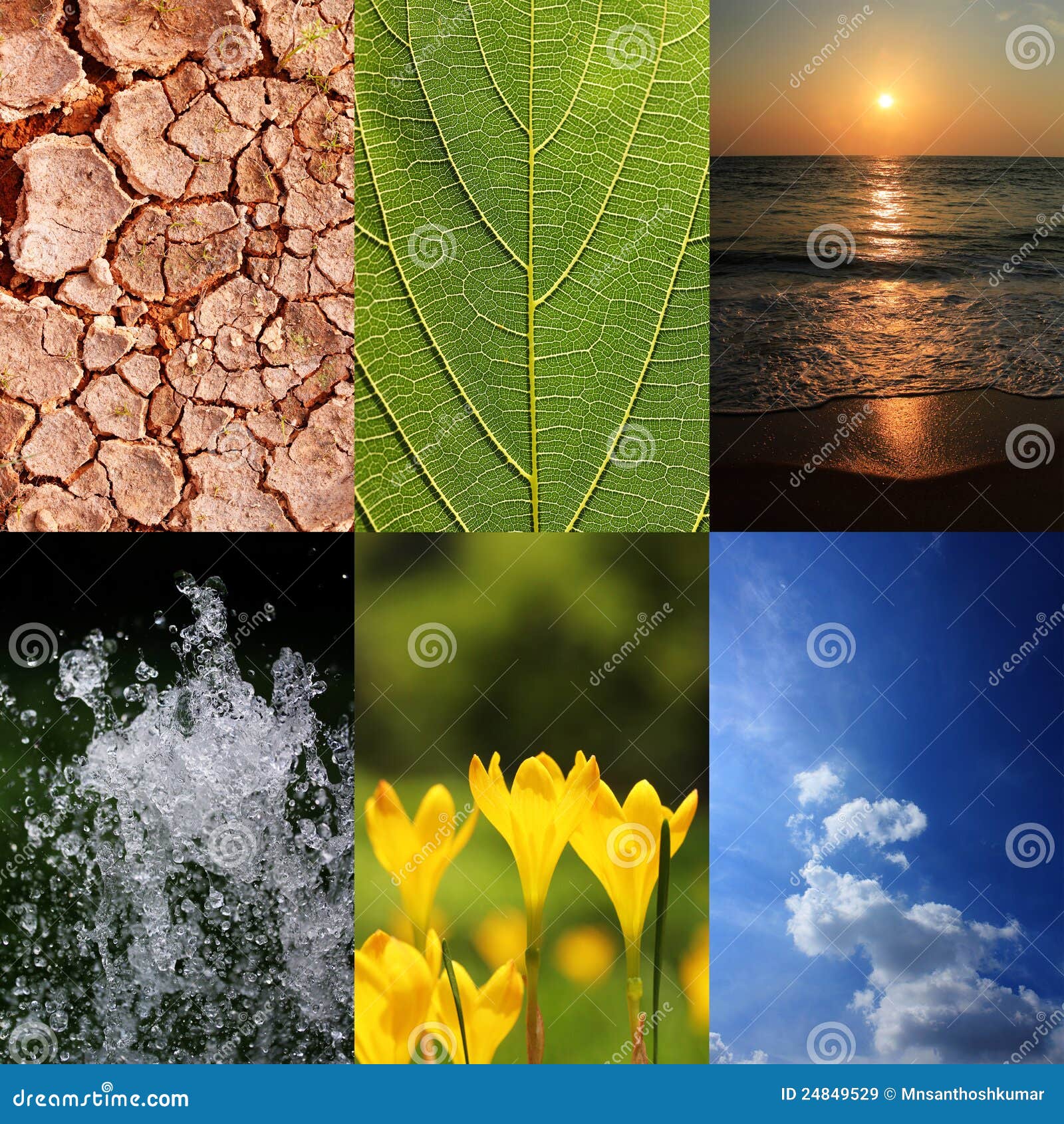 Elementi Di Base Della Natura E Dell'ecologia Immagine Stock - Immagine ...