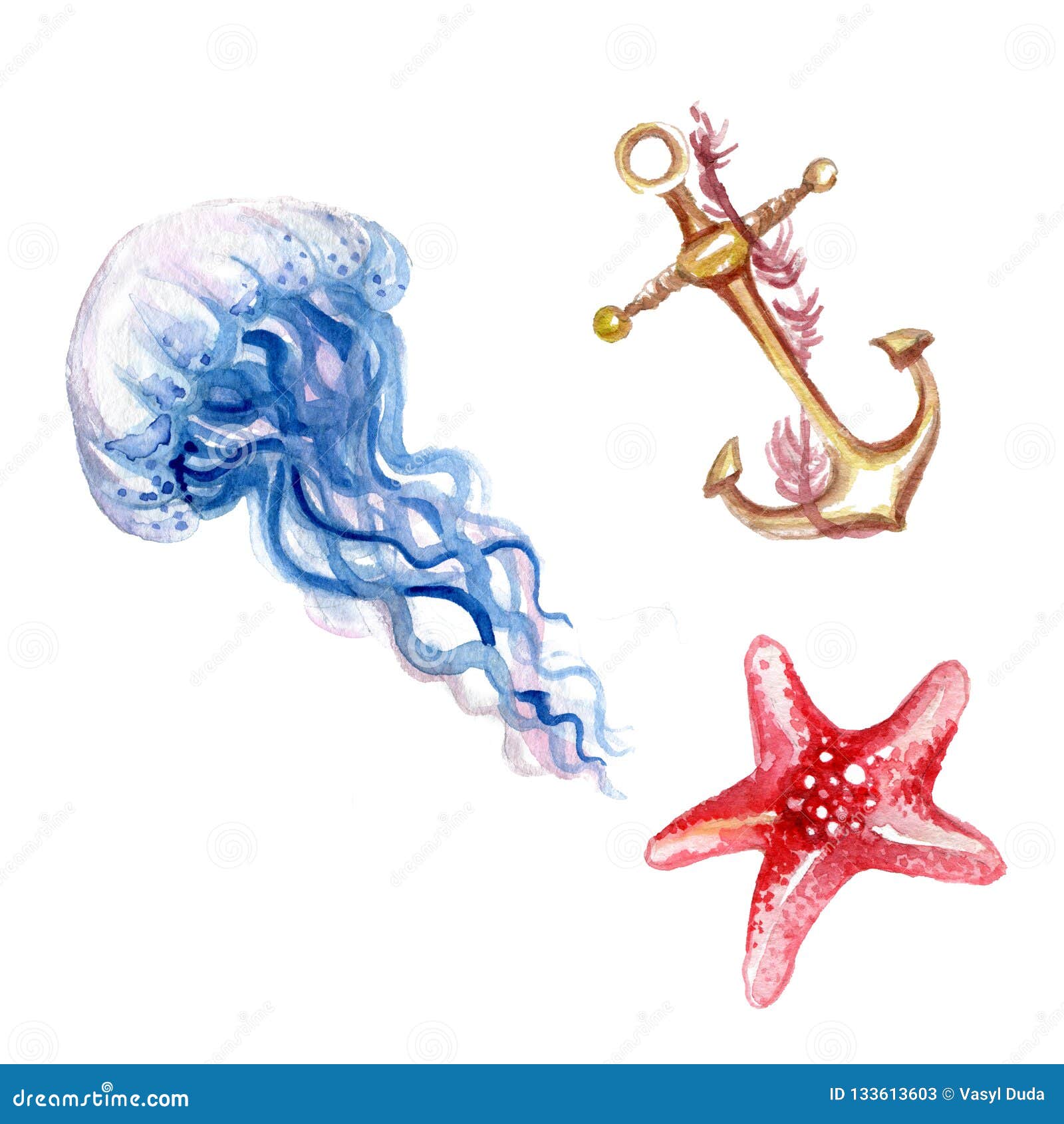 Elementos del mar stock de ilustración. Ilustración de burbuja - 133613603