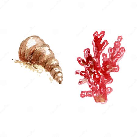 Elementos del mar stock de ilustración. Ilustración de océano - 133752540