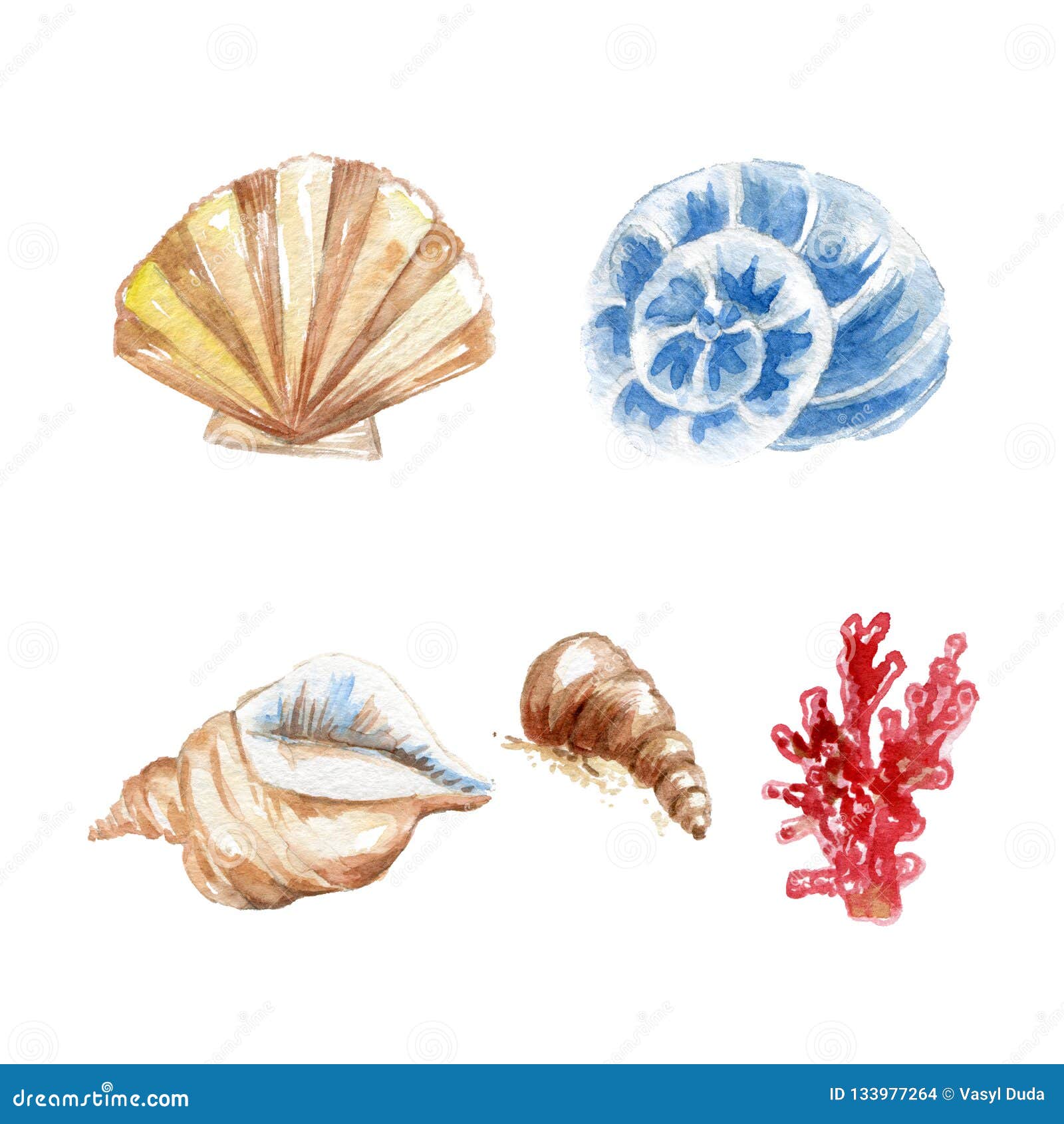 Elementos do mar ilustração stock. Ilustração de caracol - 133977264