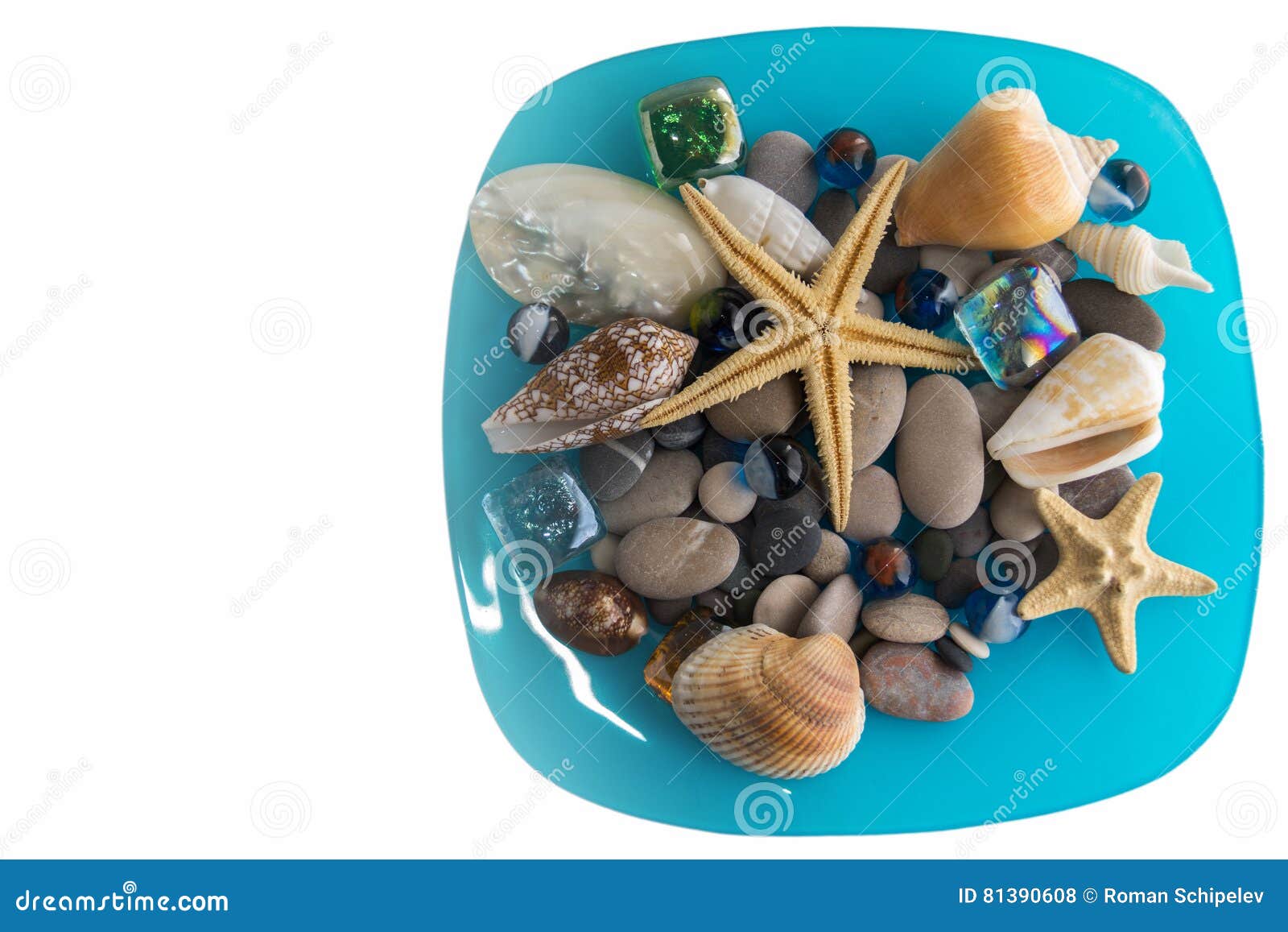 Elementos Do Mar Na Placa Azul Foto de Stock - Imagem de nave, concha ...