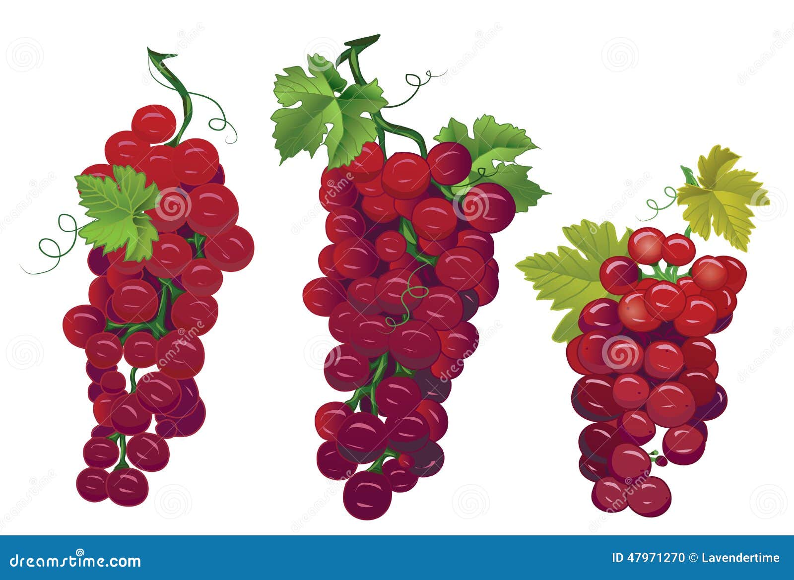 Elementos Do Vetor Do Projeto Das Uvas Vermelhas Ilustração do Vetor ...