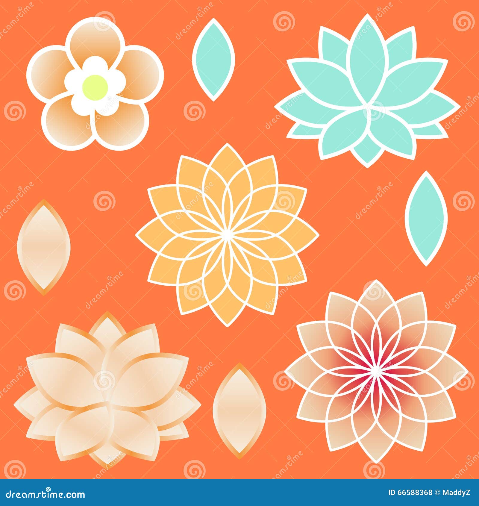 Elementos Sagrados Venus Flower E Lotus Da Geometria Ilustração do ...