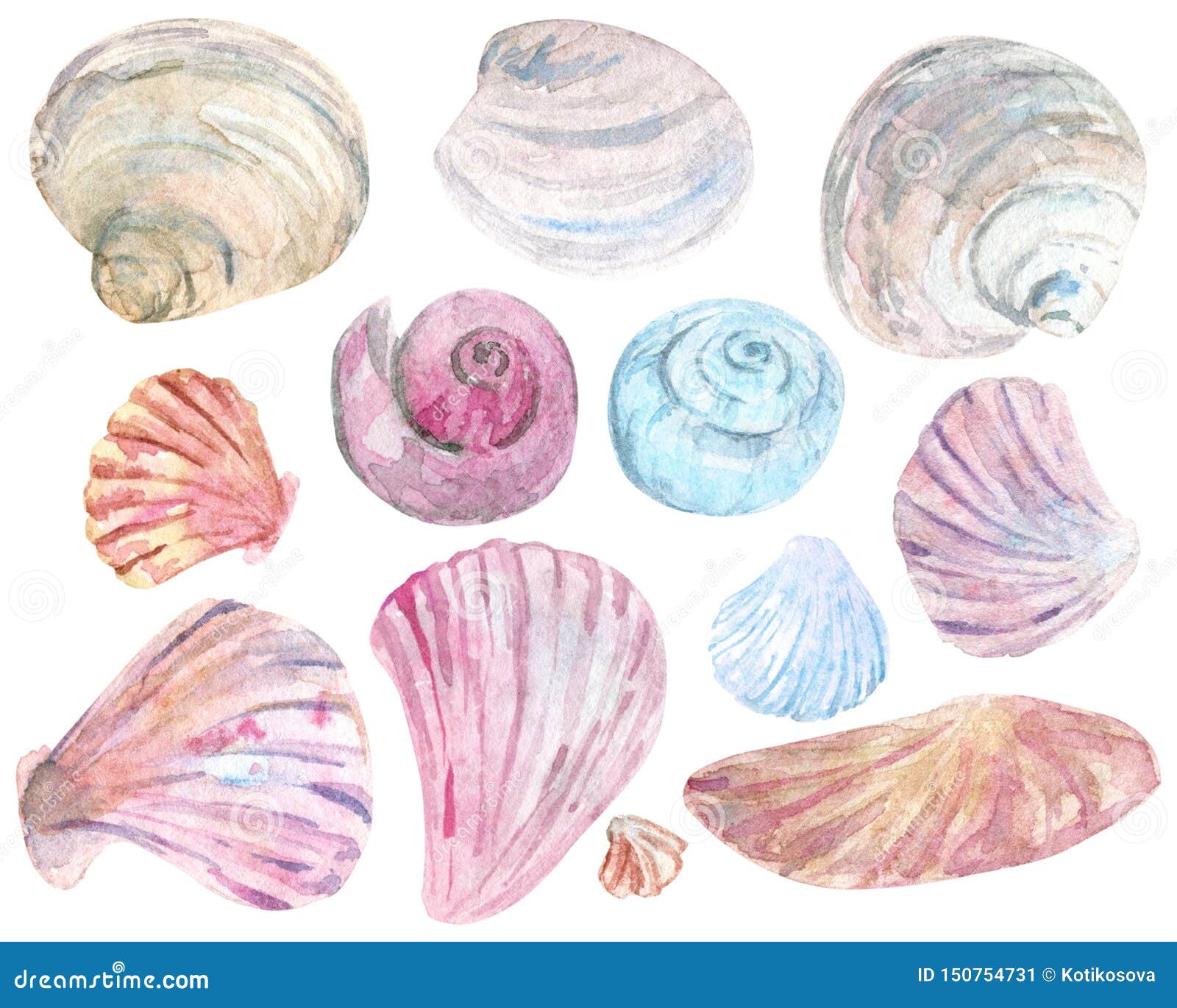 Colorful Shells Clipart Background