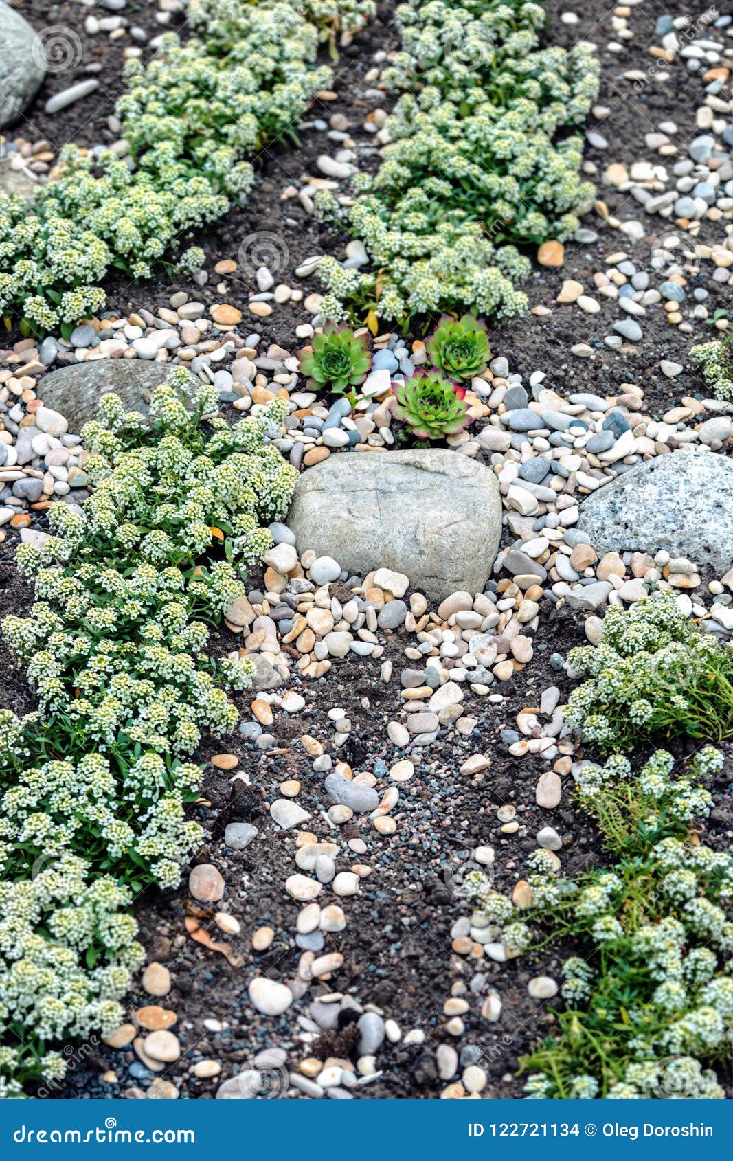 Elements of Landscape Design in the Park Stock Photo - Image of floral ...