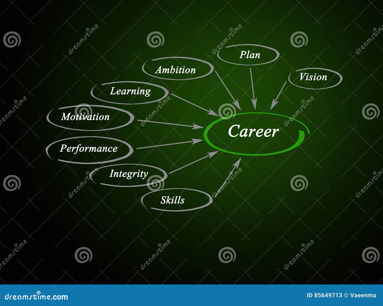 Diagram of Career Development Stock Illustration - Illustration of ...