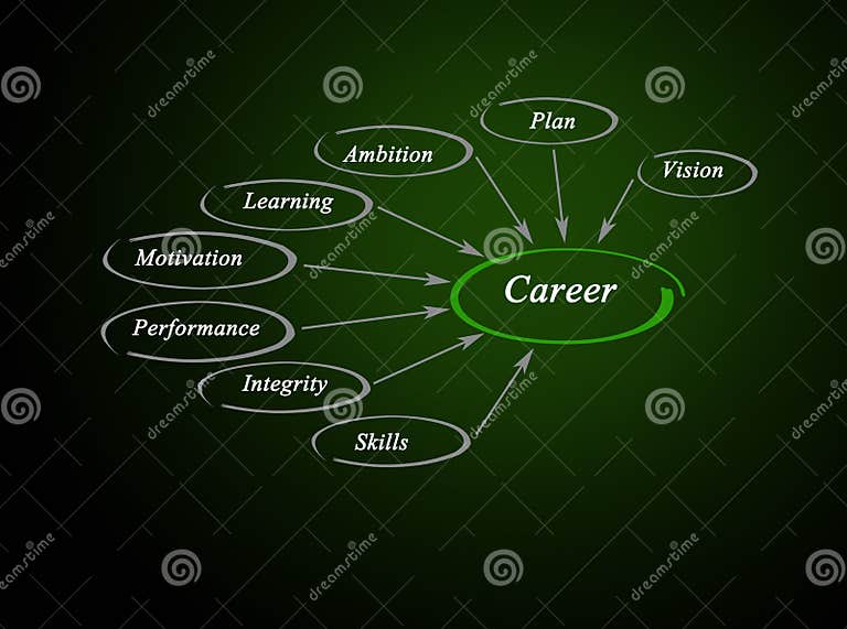 Diagram of Career Development Stock Illustration - Illustration of ...