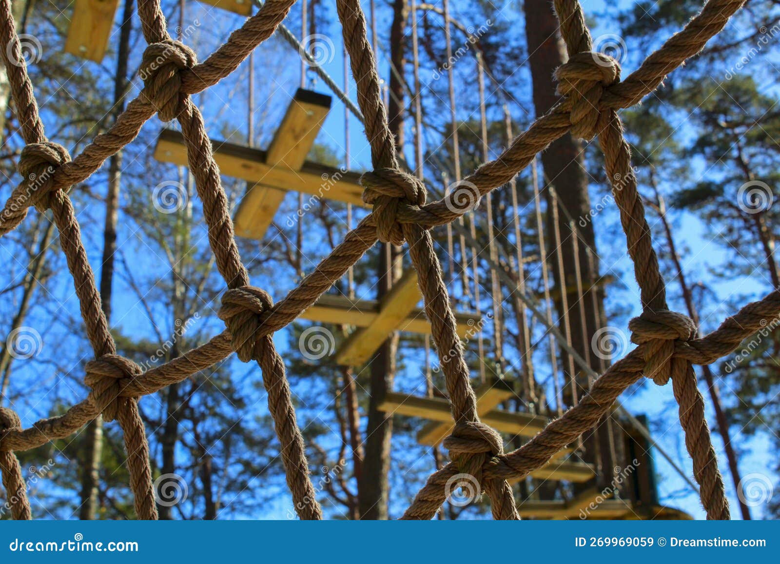 Elements of a Rope Park, Stairs, Platforms on Trees, Outdoor Activities ...