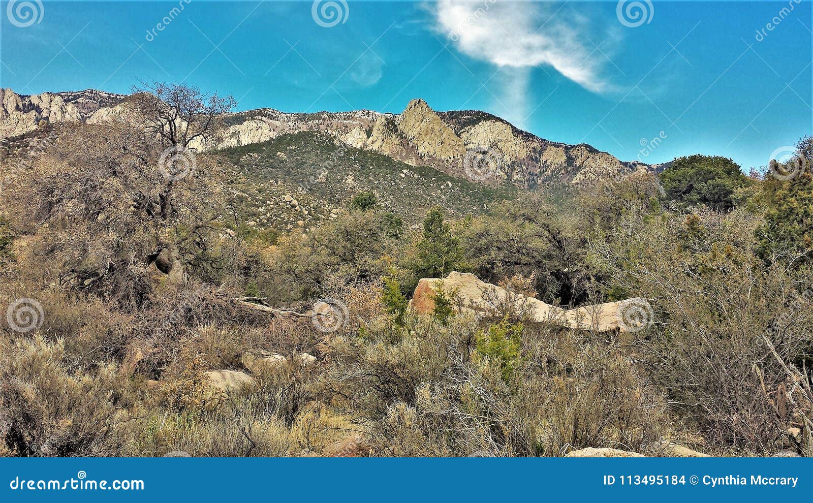Elena Gallegos Open Space in Albuquerque Stockfoto - Bild von ...