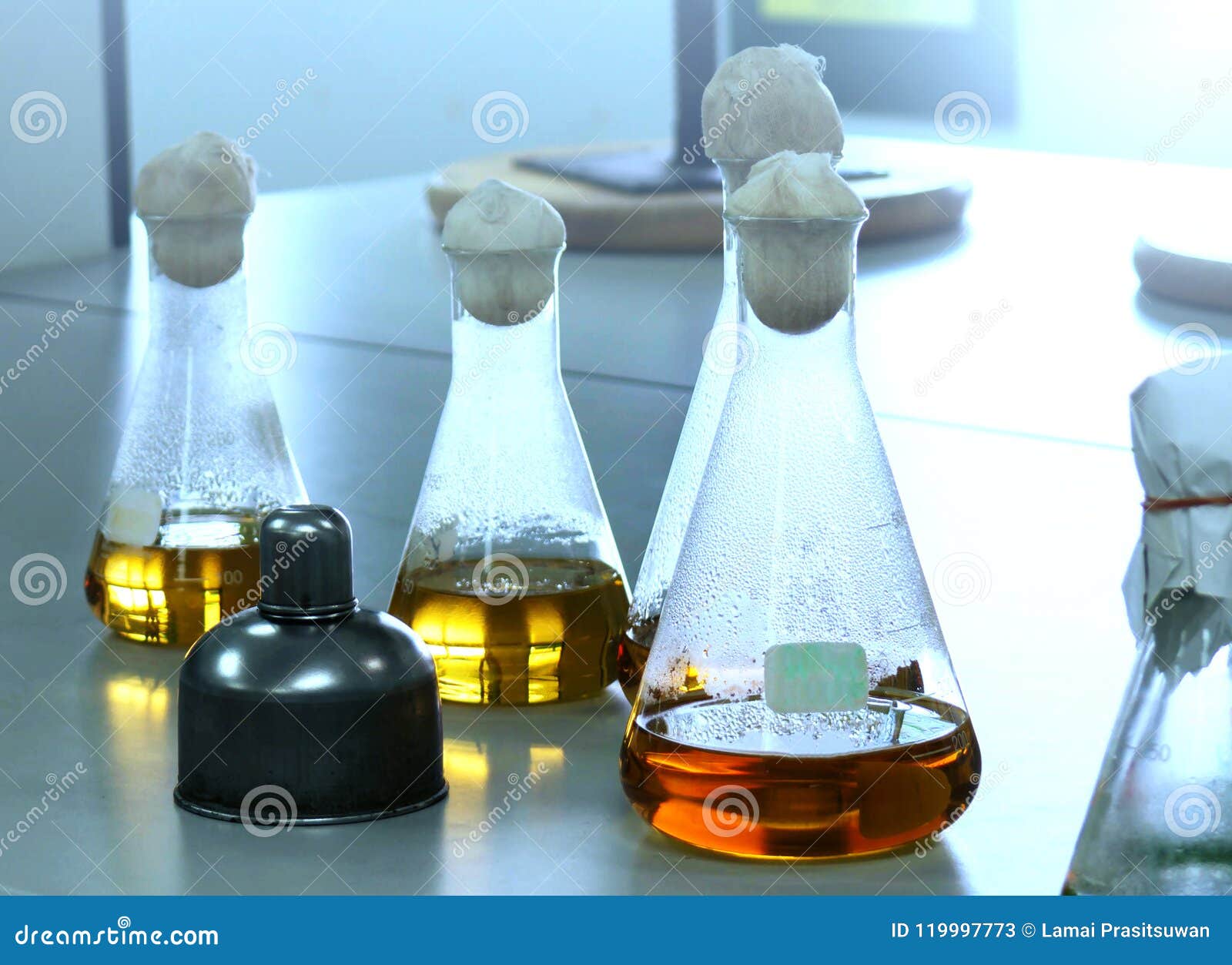 Elenmeyer Flasks in Laboratory Stock Image - Image of container ...