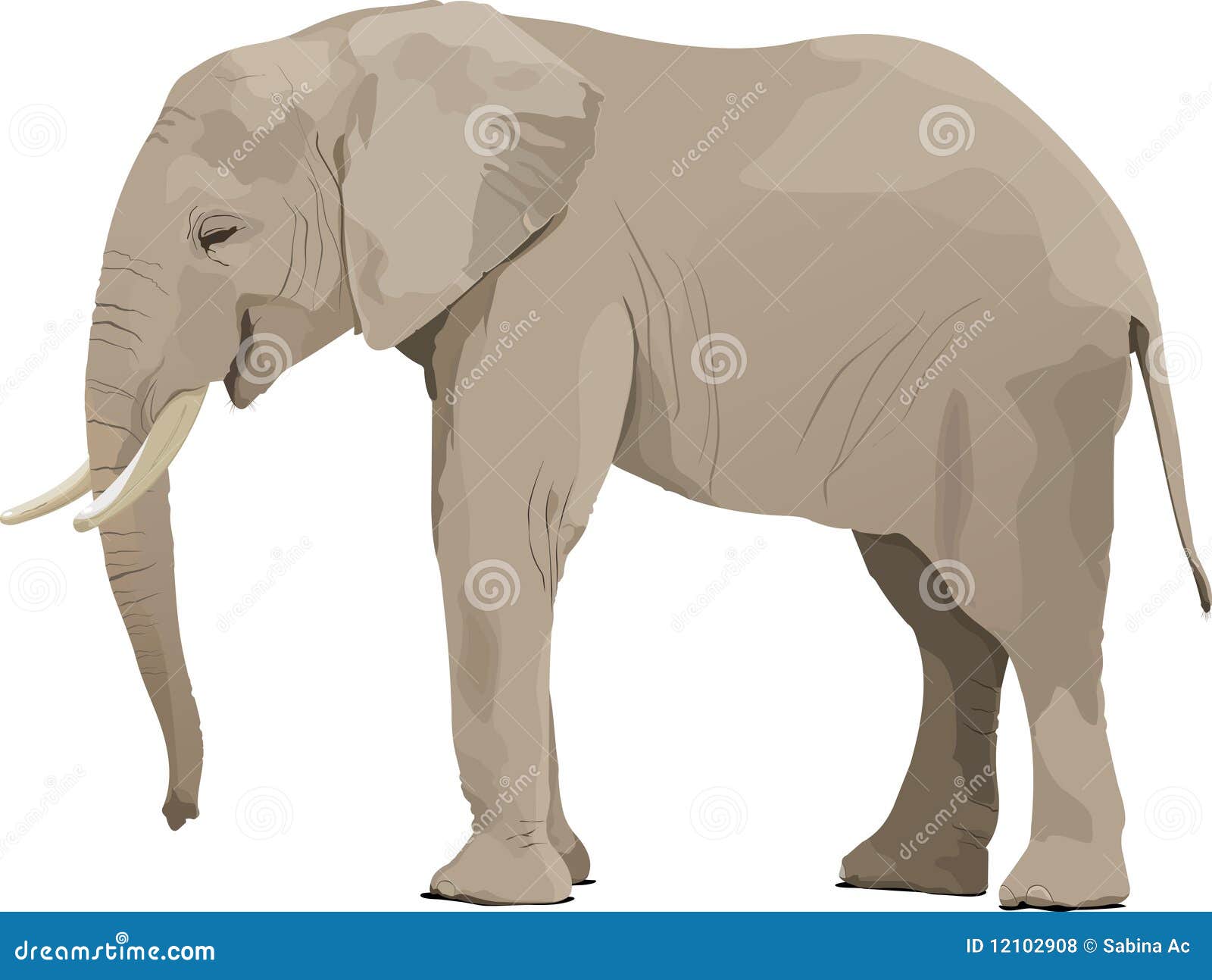 Elephant stock vector. Illustration of mammal, elephant - 12102908