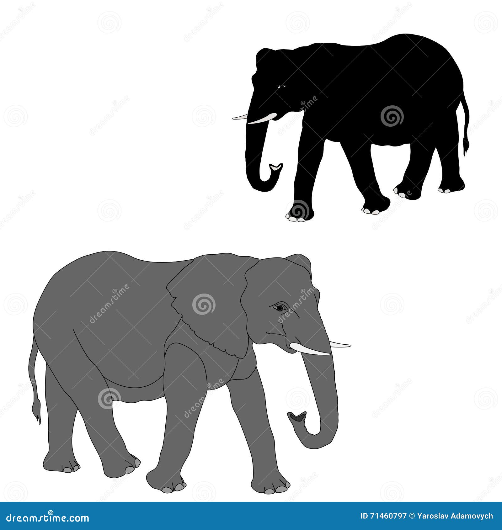 Elephant Adult Realistic Silhouette Black Stock Vector - Illustration ...