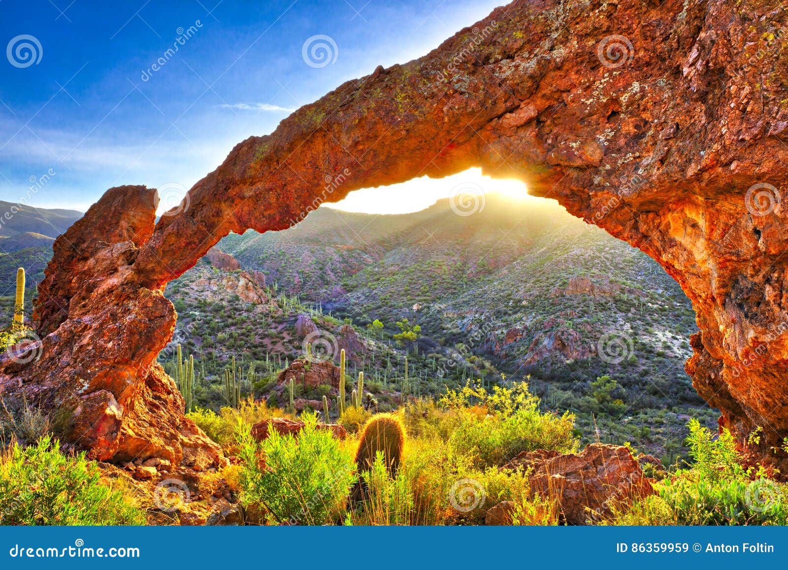 Elephant Arch stock image. Image of ocotillo, southwest - 86359959