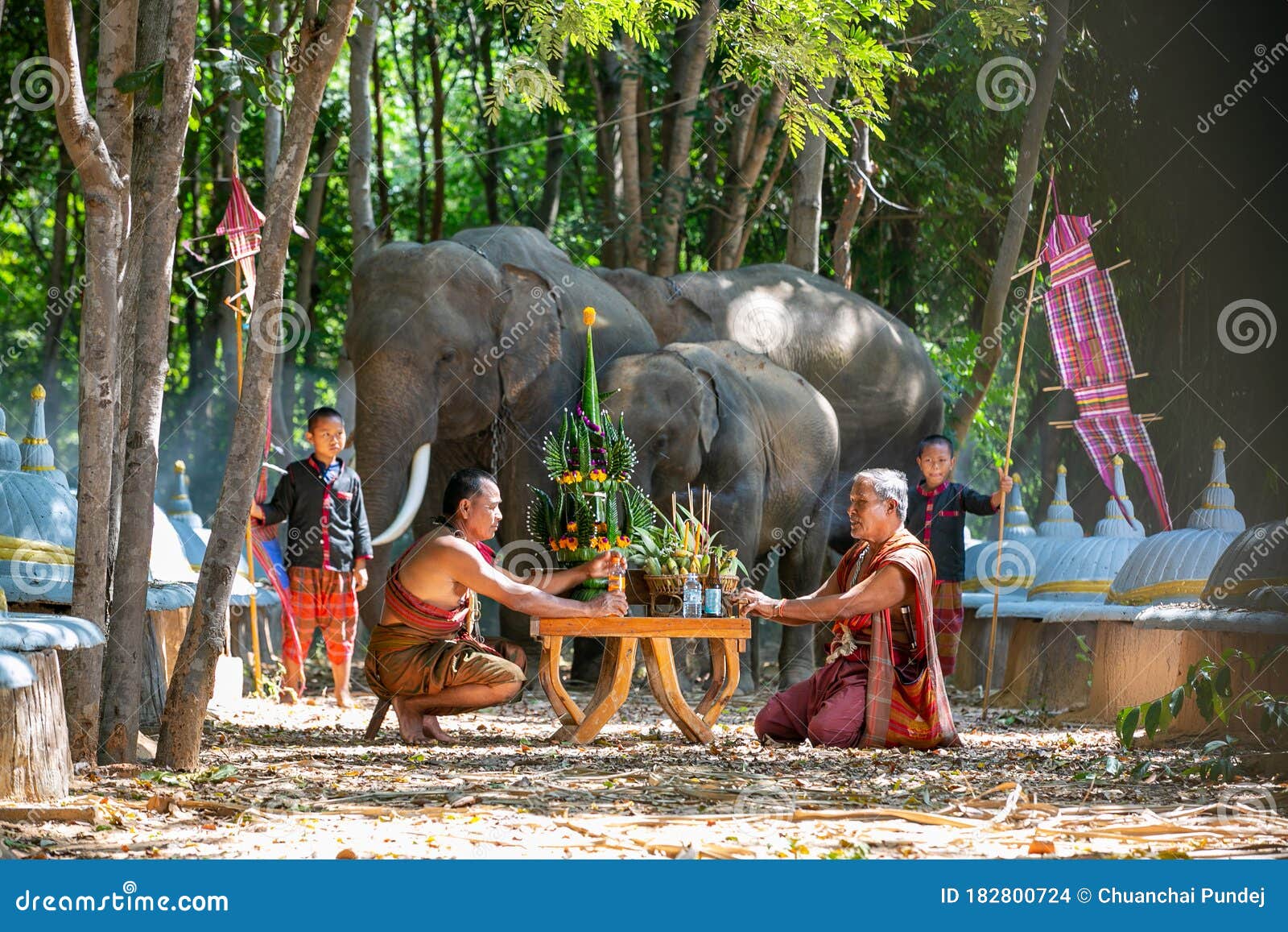 Pay Respect To the Shrine. Elephant Mahout Portrait. the Kuy Kui People ...