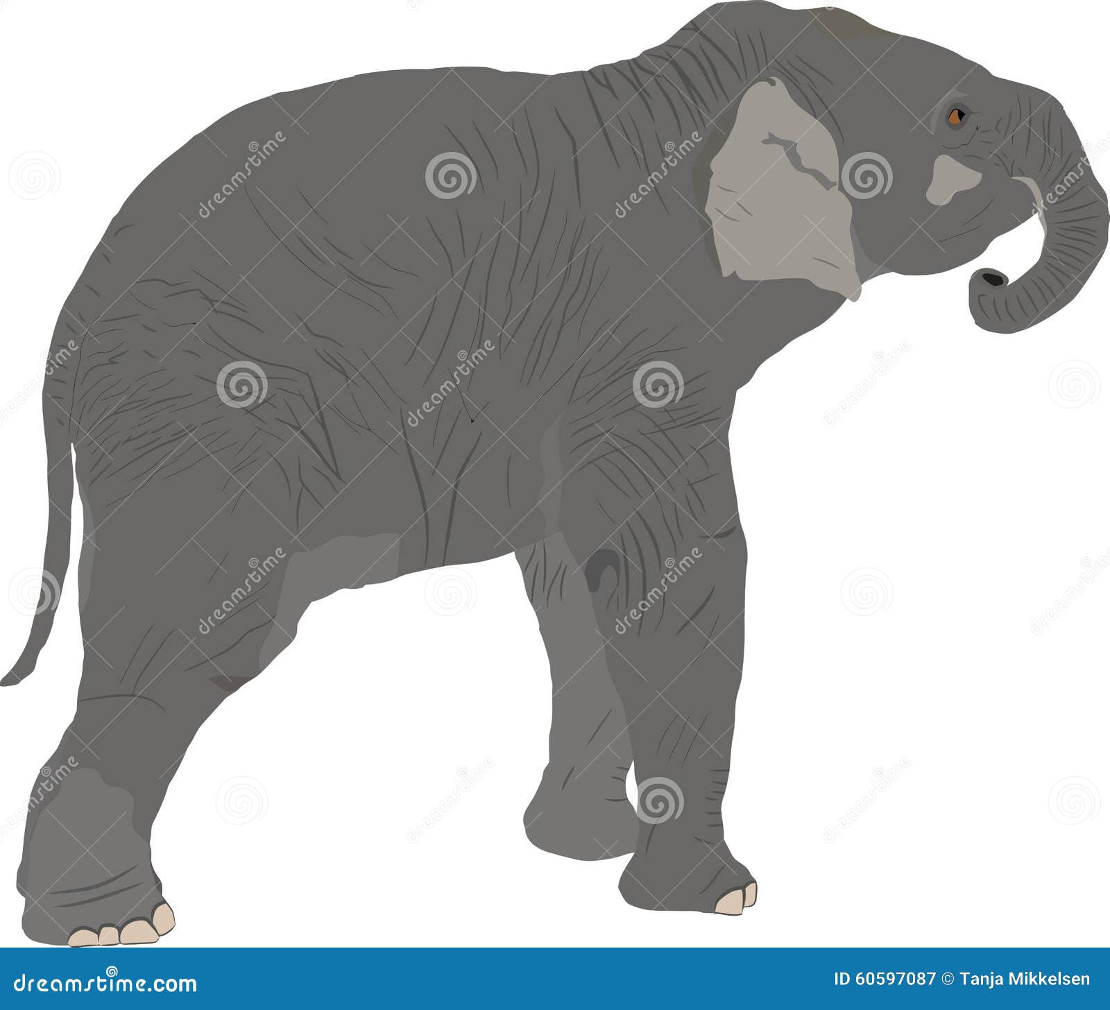 Elephant Realistic Simplified Drawing Vector Illustration ...