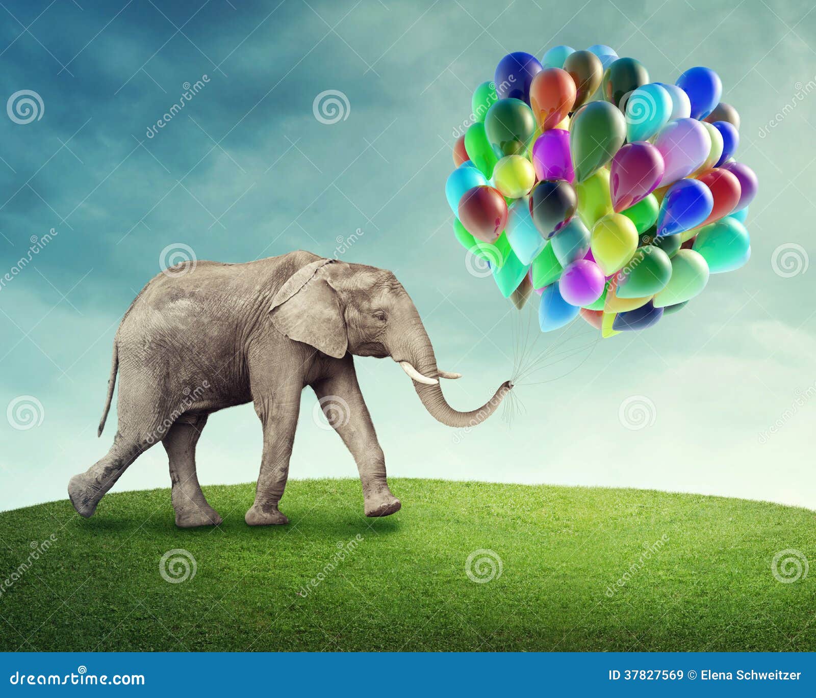 Elephant with balloons stock image. Image of nature, balloon - 37827569