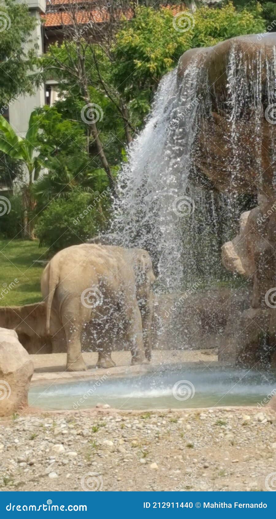 Elephant Bathing in a Waterfall. Stock Photo - Image of bergamo ...