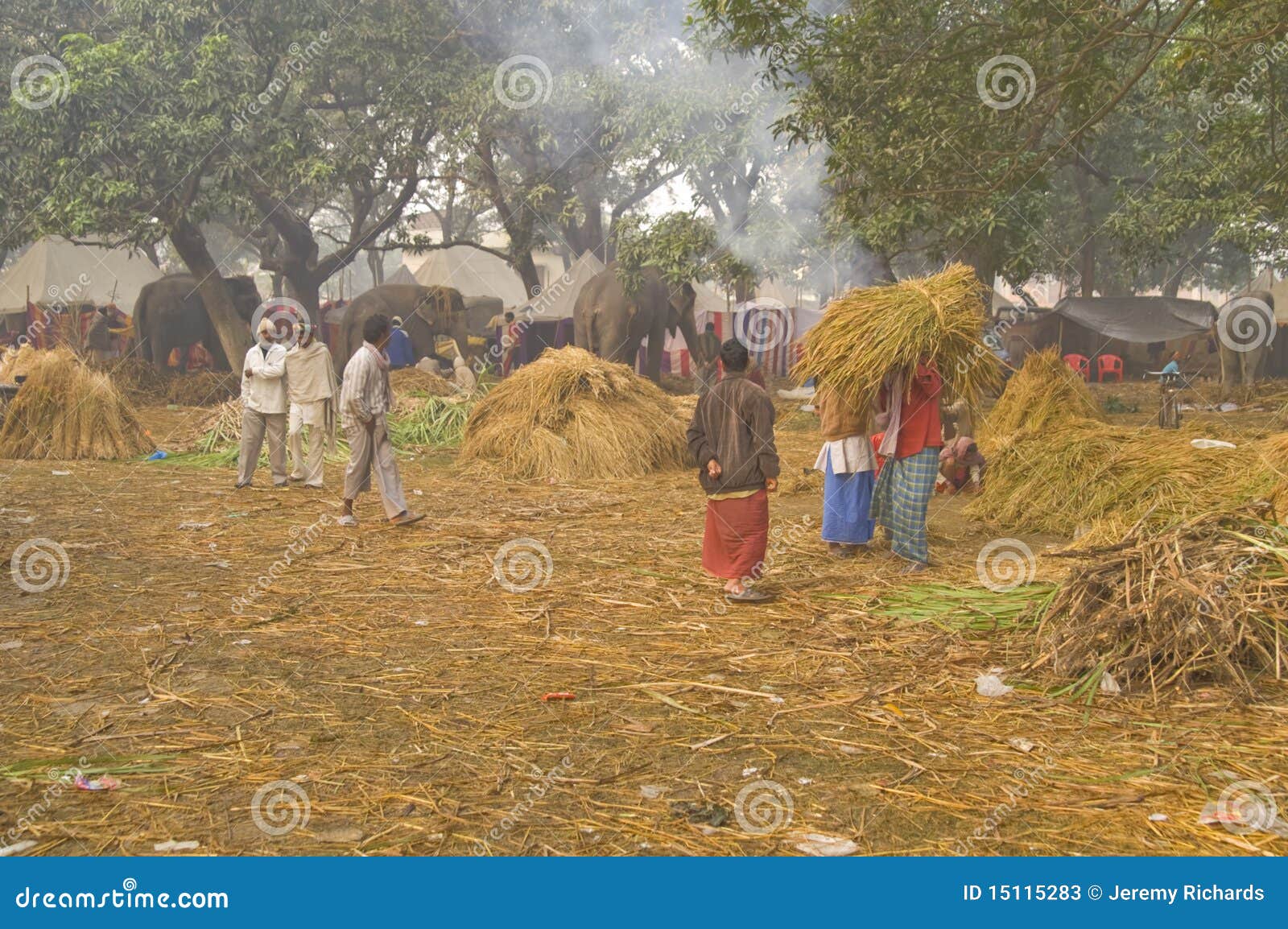 Elephant Bazaar editorial stock photo. Image of people - 15115283