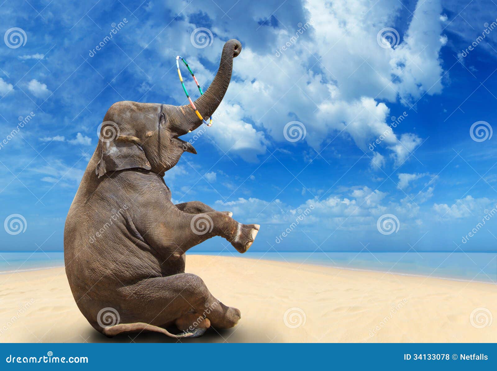 Elephant on the beach stock photo. Image of elephant - 34133078