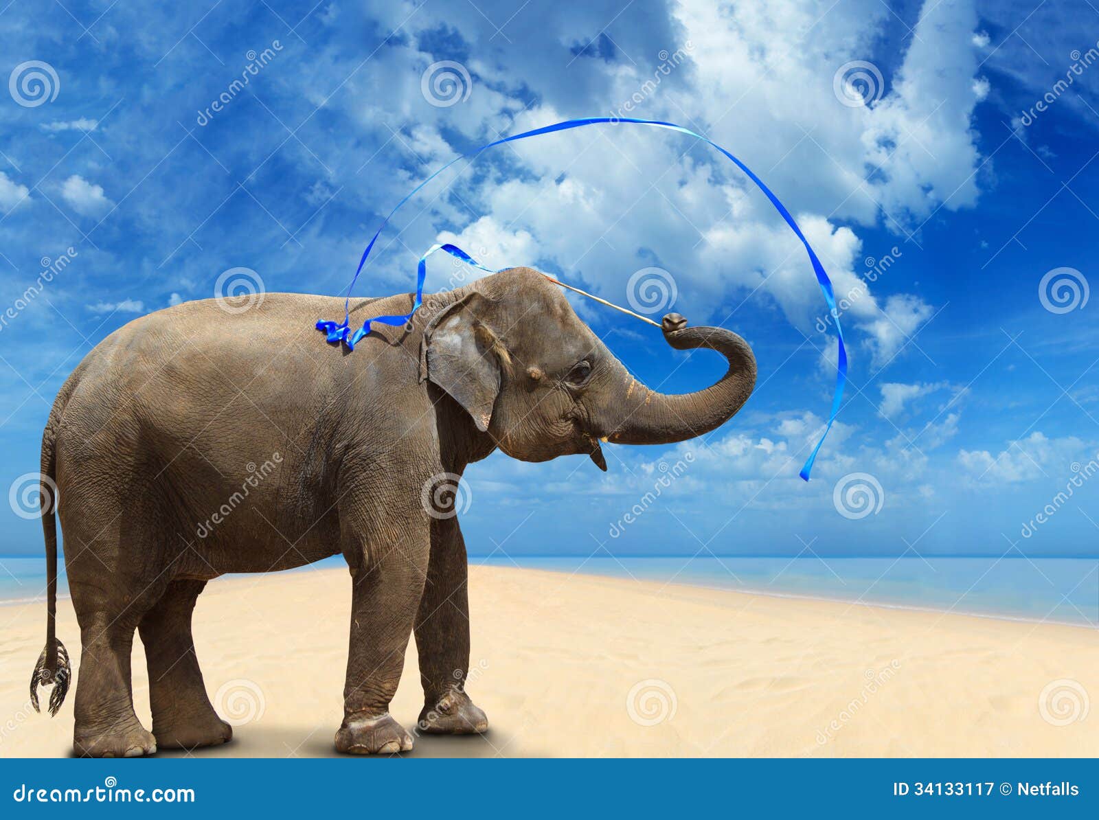 Elephant on the beach stock image. Image of asian, animal - 34133117