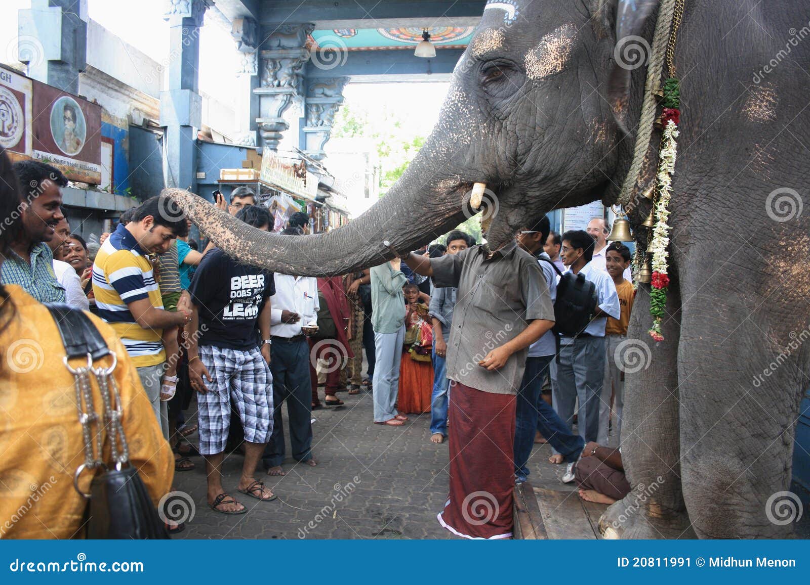 Elephant Blessing Devotees in Ganesha Temple Editorial Photo - Image of ...