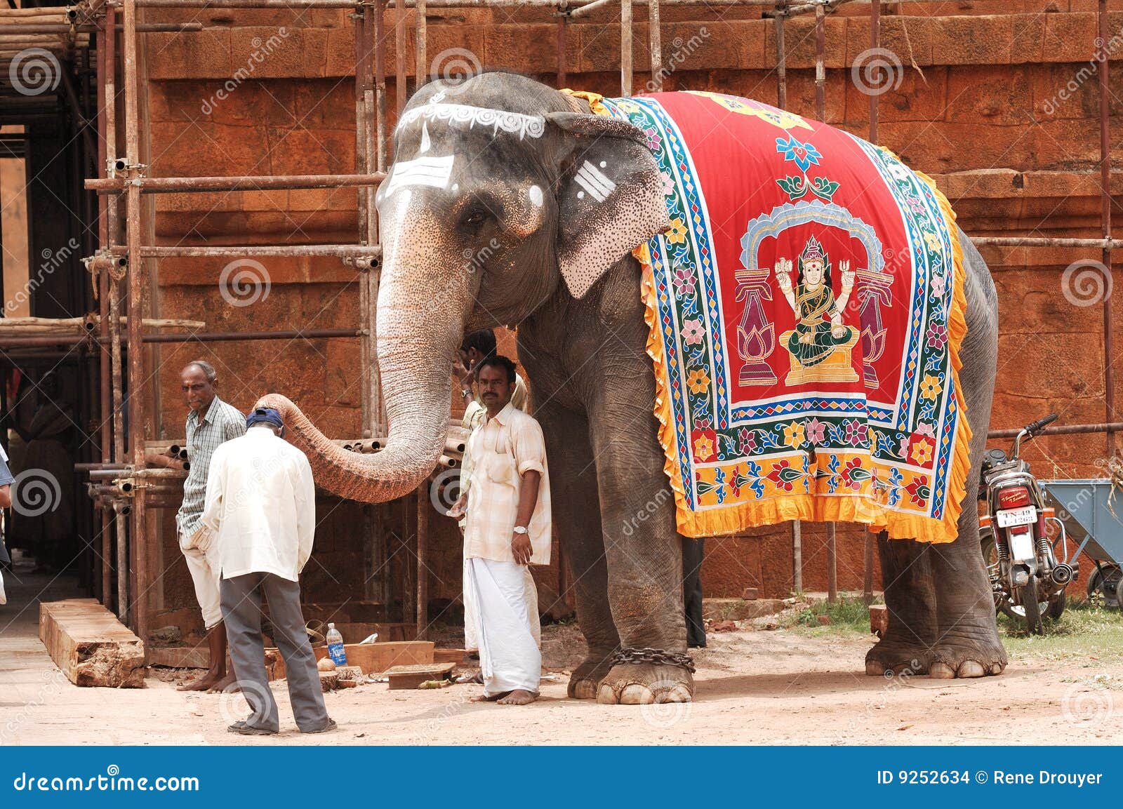 An Elephant Blessing A Pilgrim At Virupaksha Temple Editorial Photo ...